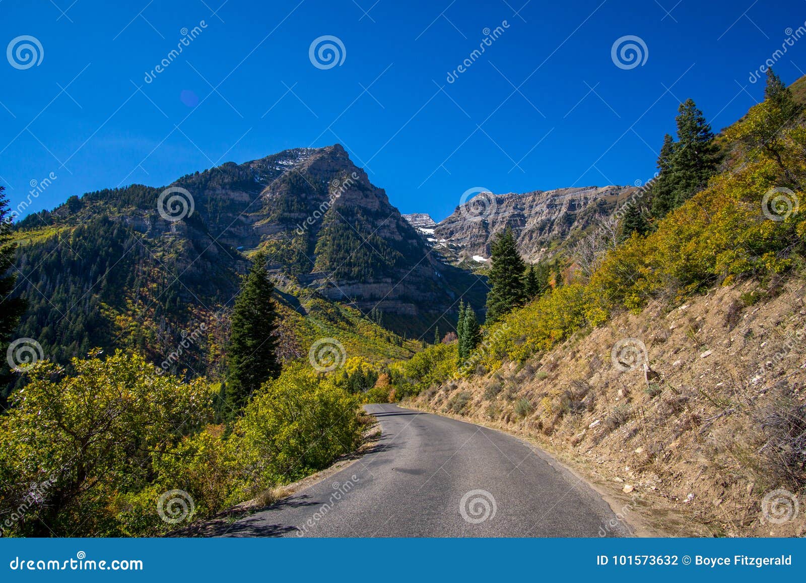 Fall Foliage with Aspen Trees Along the Wasatch Mountain Range Stock ...