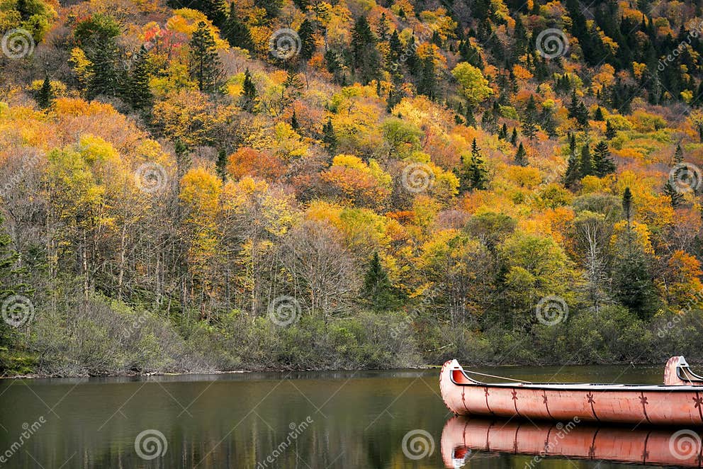 Fall Foliage and Canoe on Jacques Cartier River Stock Photo - Image of ...