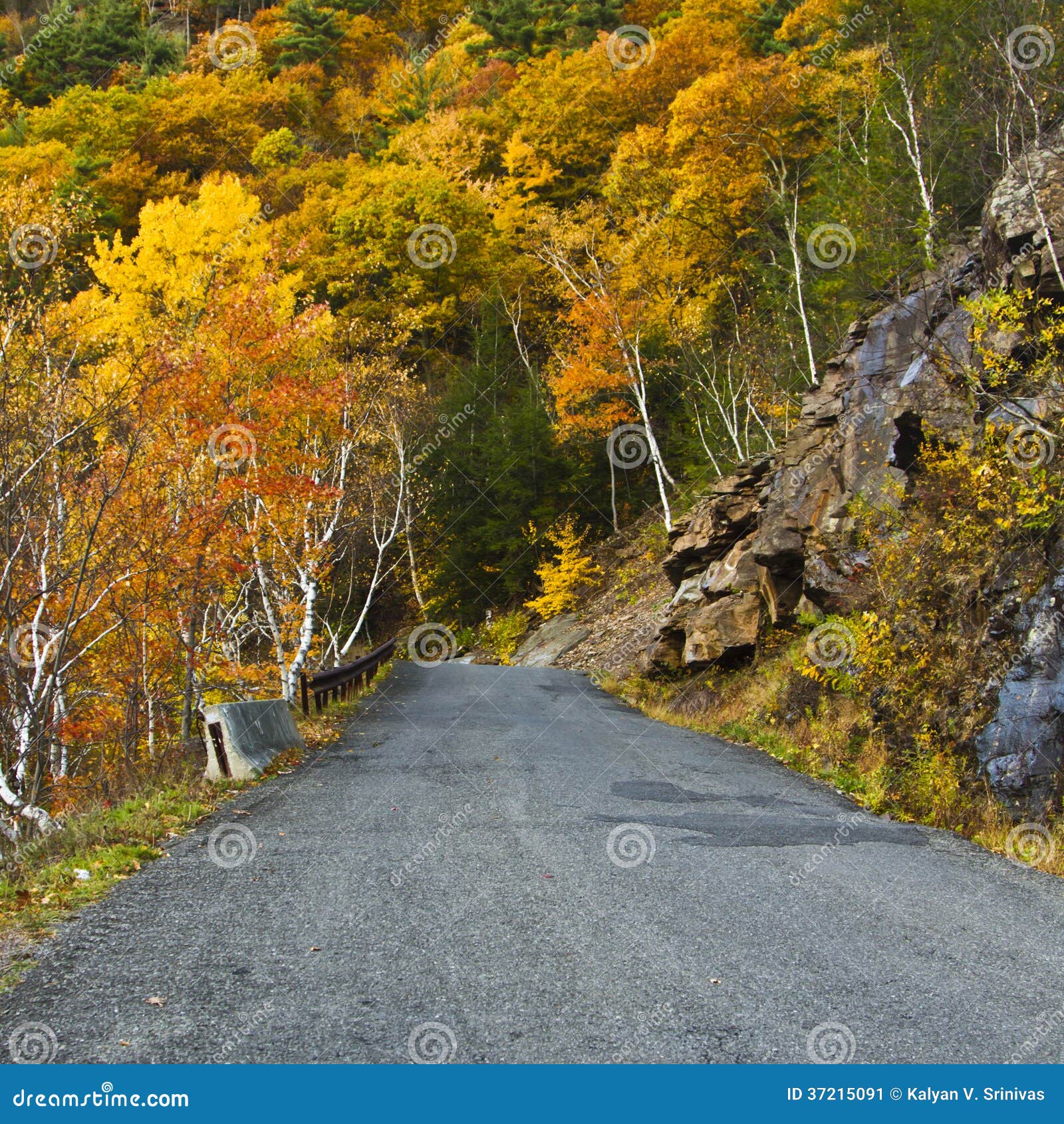 Catskill Fall Foliage stock image. Image of hills, landscape - 37215091