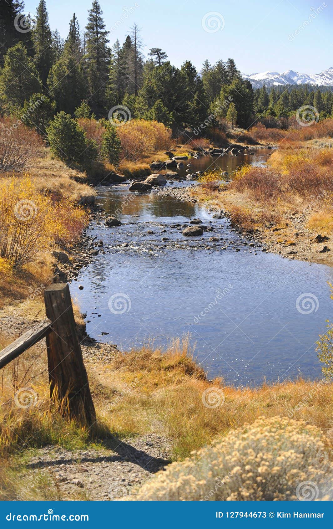 Fall Colors Begin To Take Hold Along a Riverbed. Stock Image - Image of ...