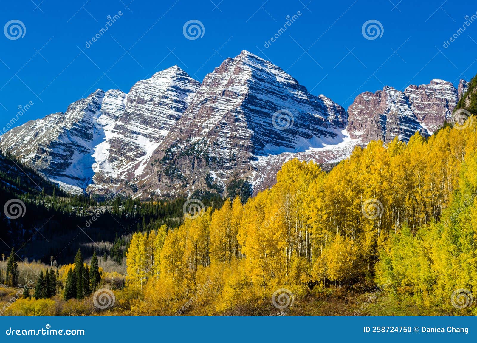 Fall Foliage in Front of the Maroon Bells in Aspen, CO Stock Photo ...
