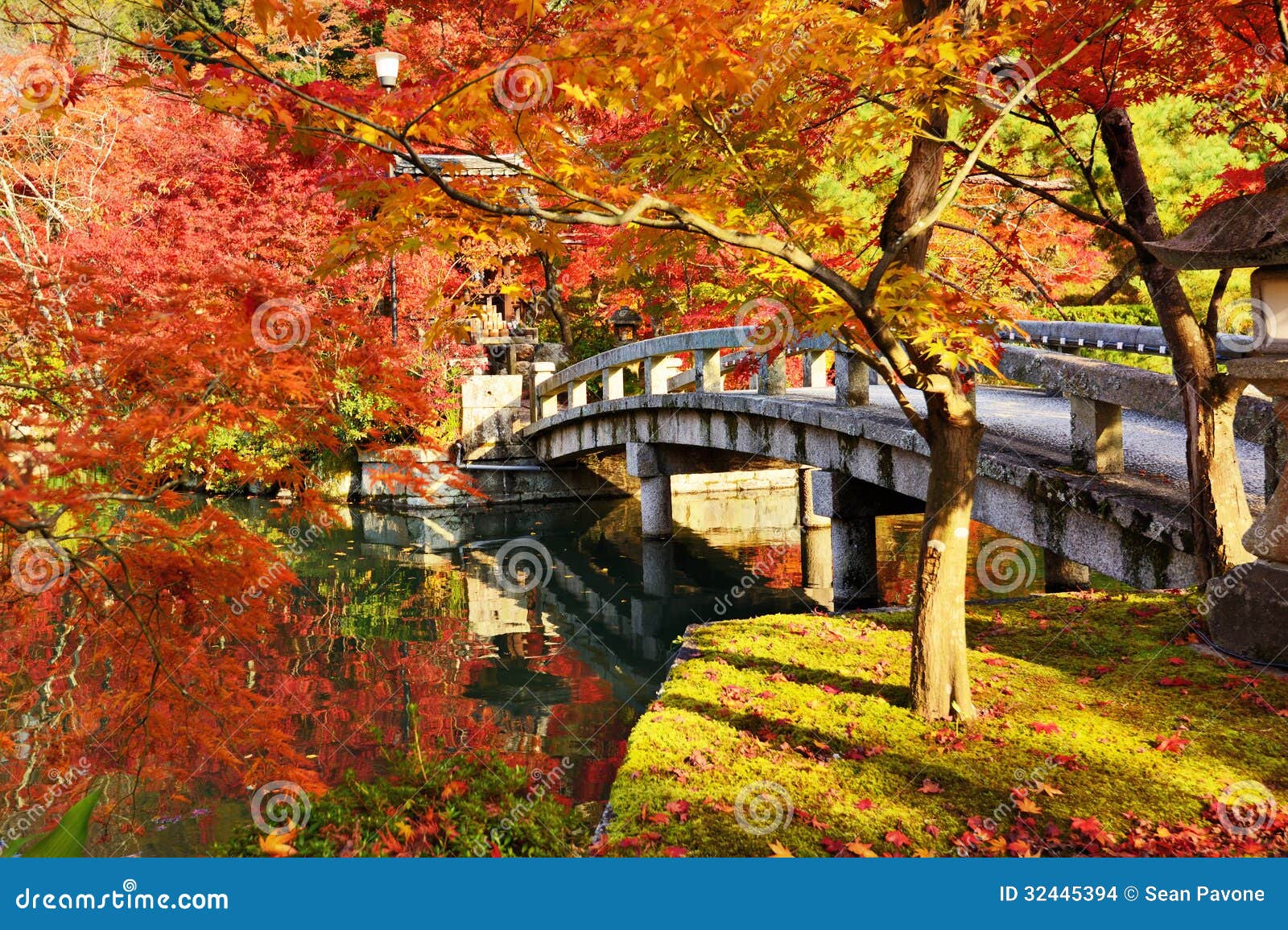 Fall Foliage in Kyoto stock photo. Image of change, autumn - 32445394