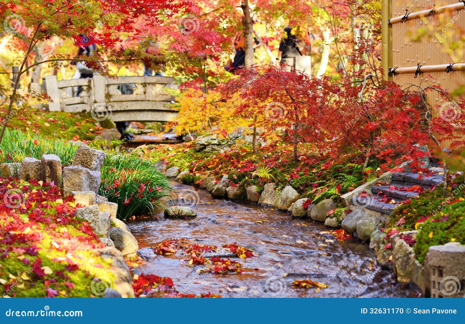 Fall Foliage in Kyoto stock photo. Image of nature, eikando - 32631170