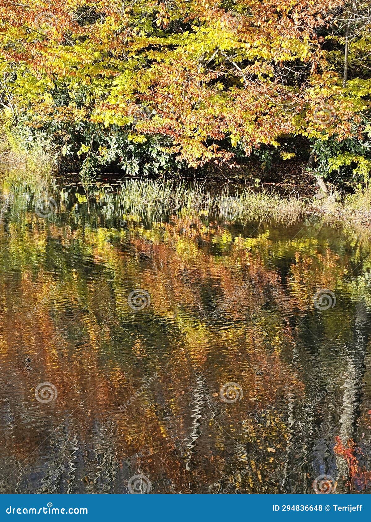 Fall Foliage Lake Reflection Stock Photo - Image of color, reflection ...