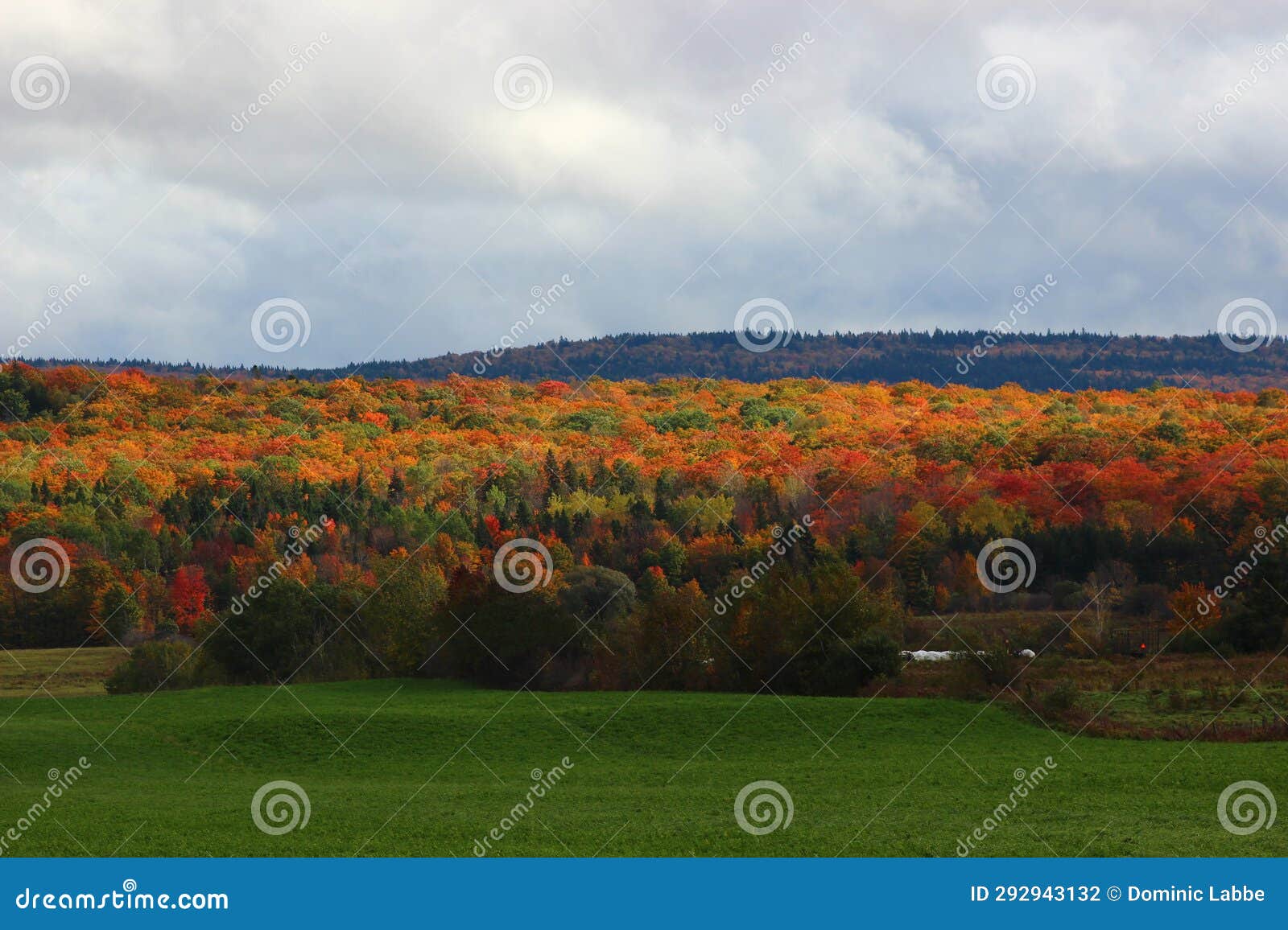 Fall foliage landscape stock photo. Image of foliage - 292943132