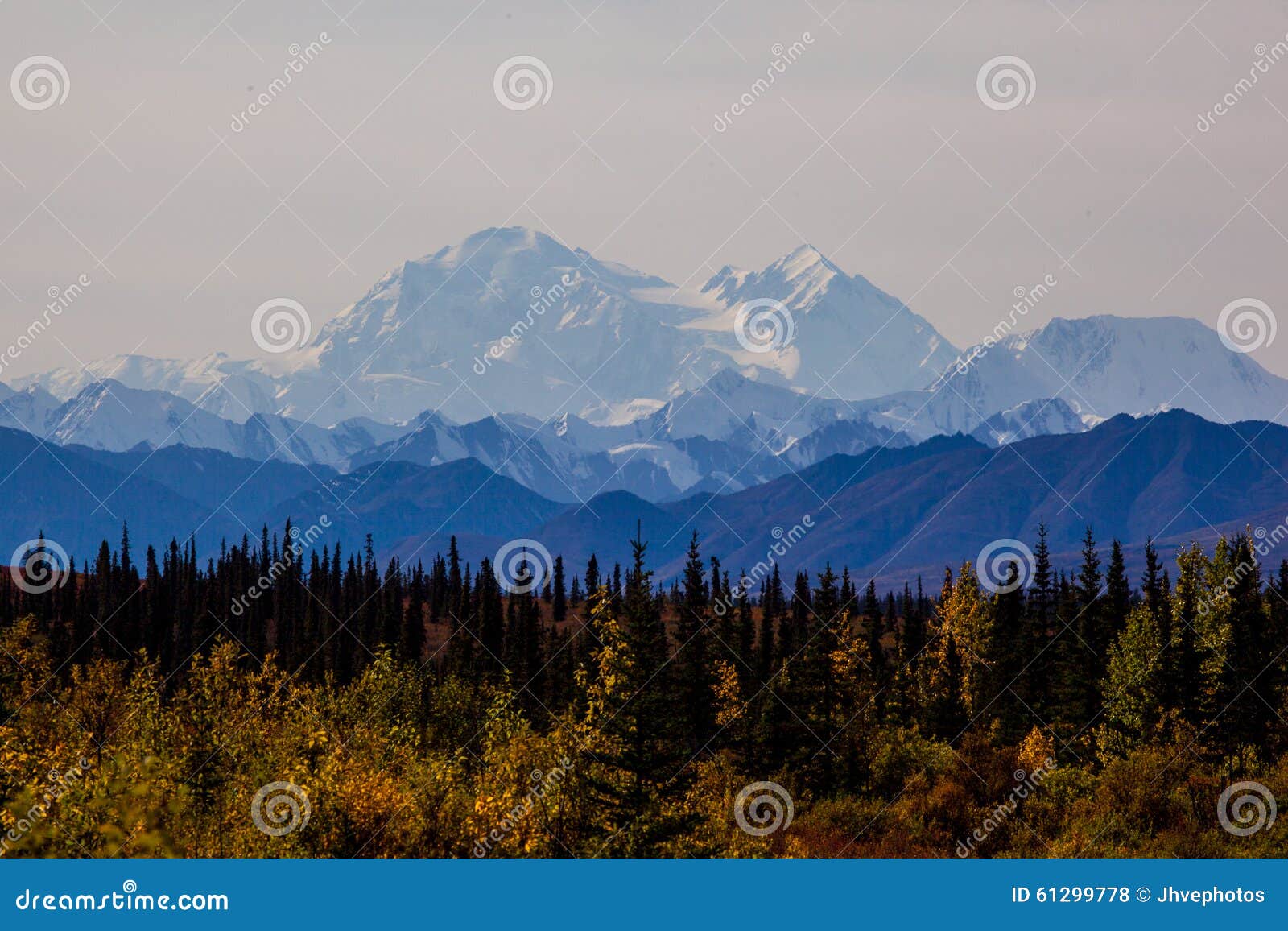 Fall Foliage with Mountain in Background,Alaska Stock Photo - Image of ...