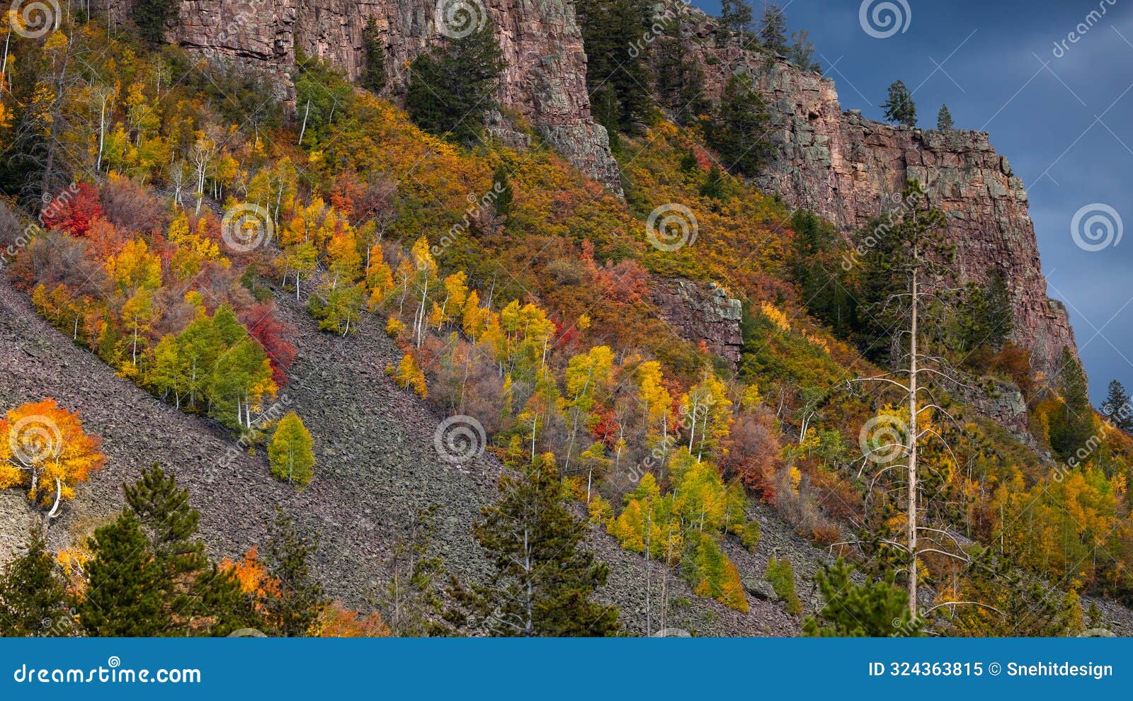 Fall Foliage on Mountain Slopes in Uinta Wasatch Cache National Forest ...