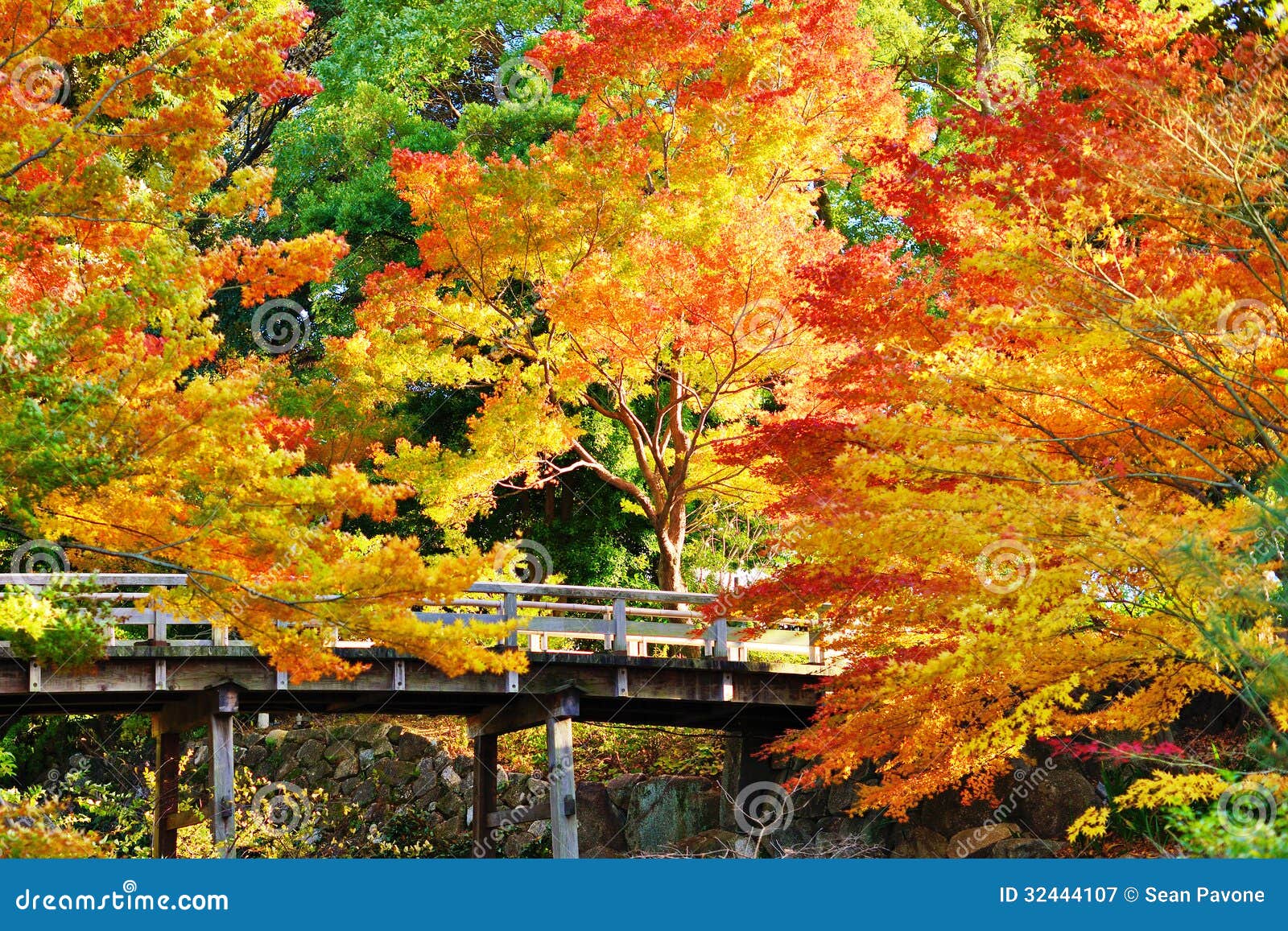 Fall Foliage in Nagoya, Japan Stock Image - Image of foliage, landmark ...