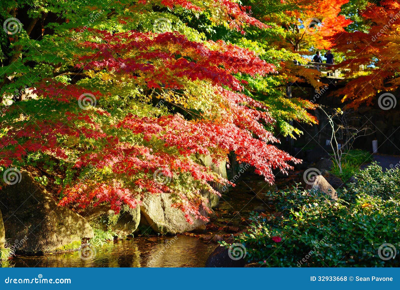 Fall Foliage in Nagoya, Japan Stock Photo - Image of asia, culture ...