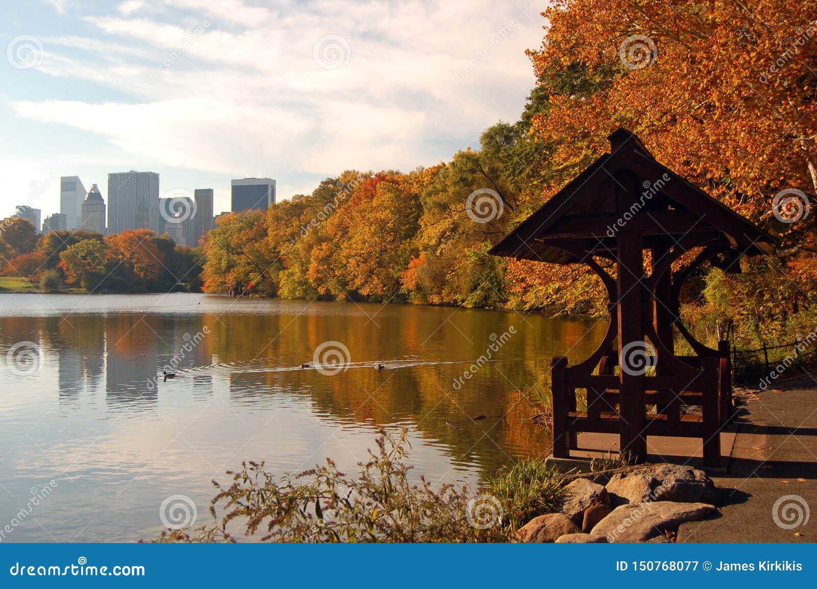 The Fall Foliage in New York Stock Image - Image of changing ...