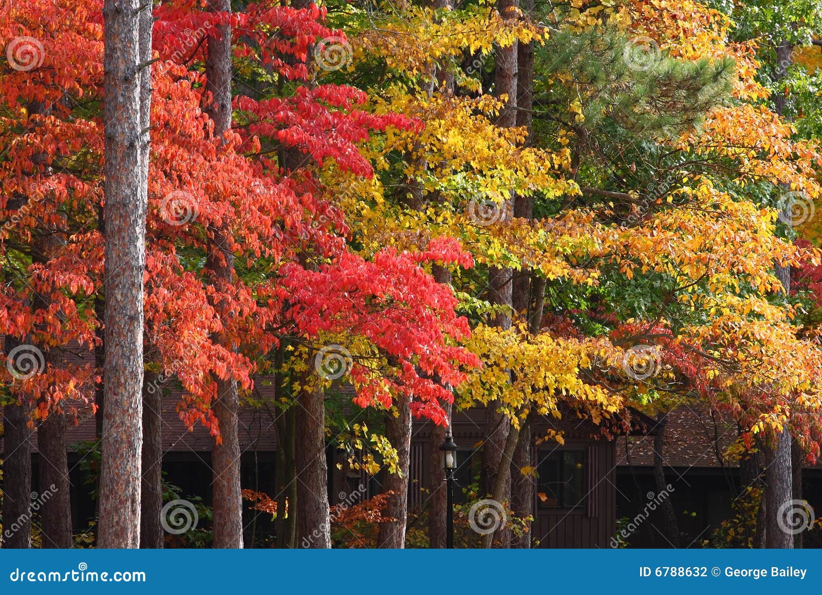 Fall Foliage in Ohio stock photo. Image of autumn, ohio - 6788632