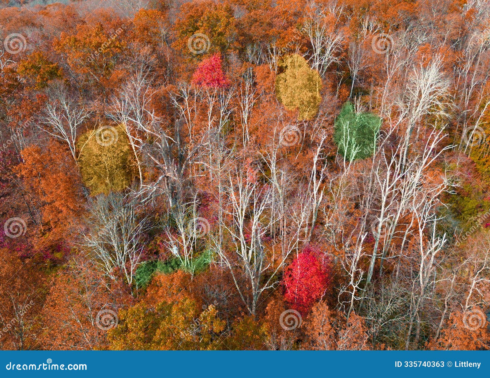 Overhead Drone Shot Of Woman On Summer Holiday Floating On Inflatable ...