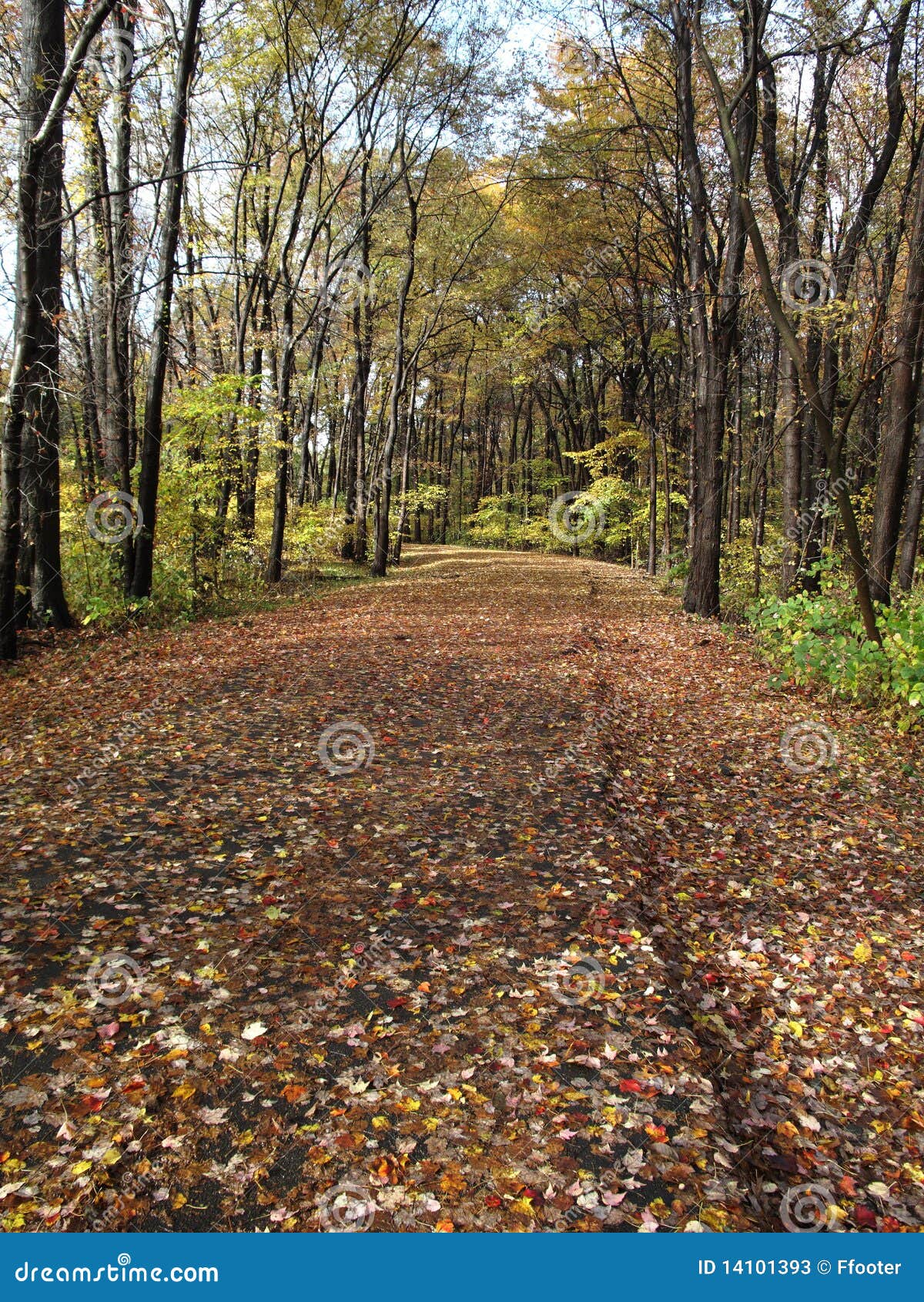 Fall Foliage and Path stock image. Image of landscape - 14101393