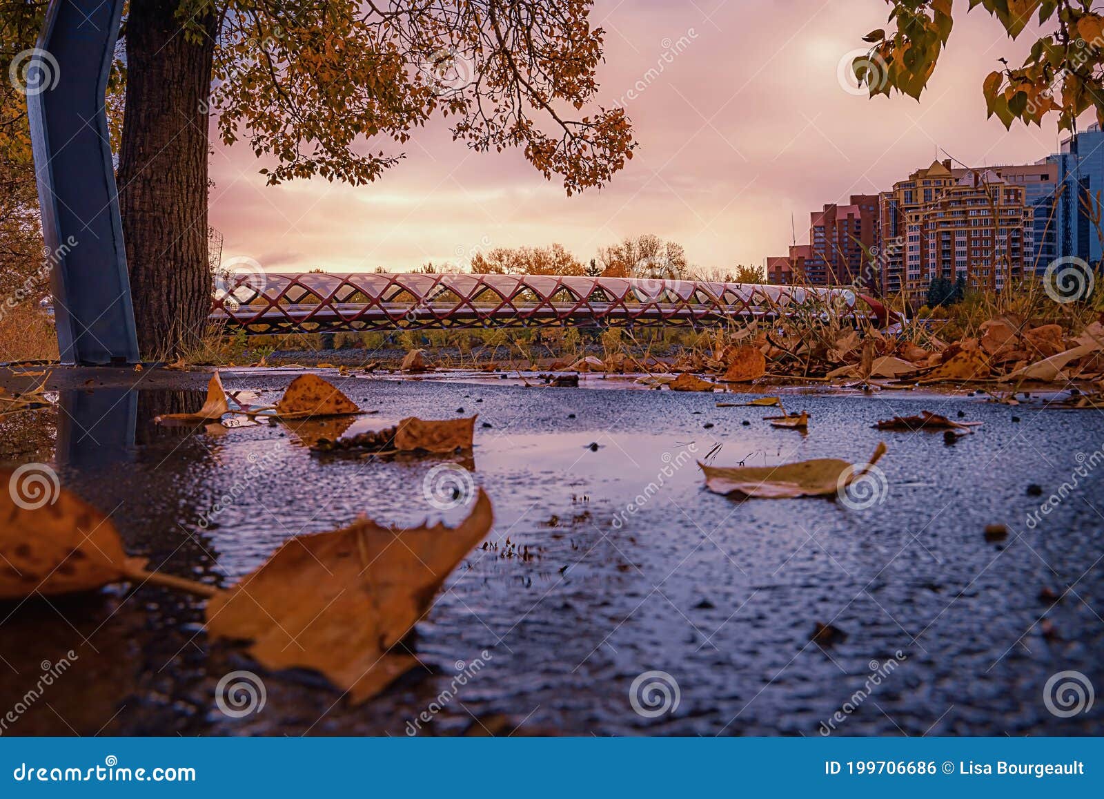 Fall Foliage by the Peace Bridge at Sunrise Editorial Photo - Image of ...