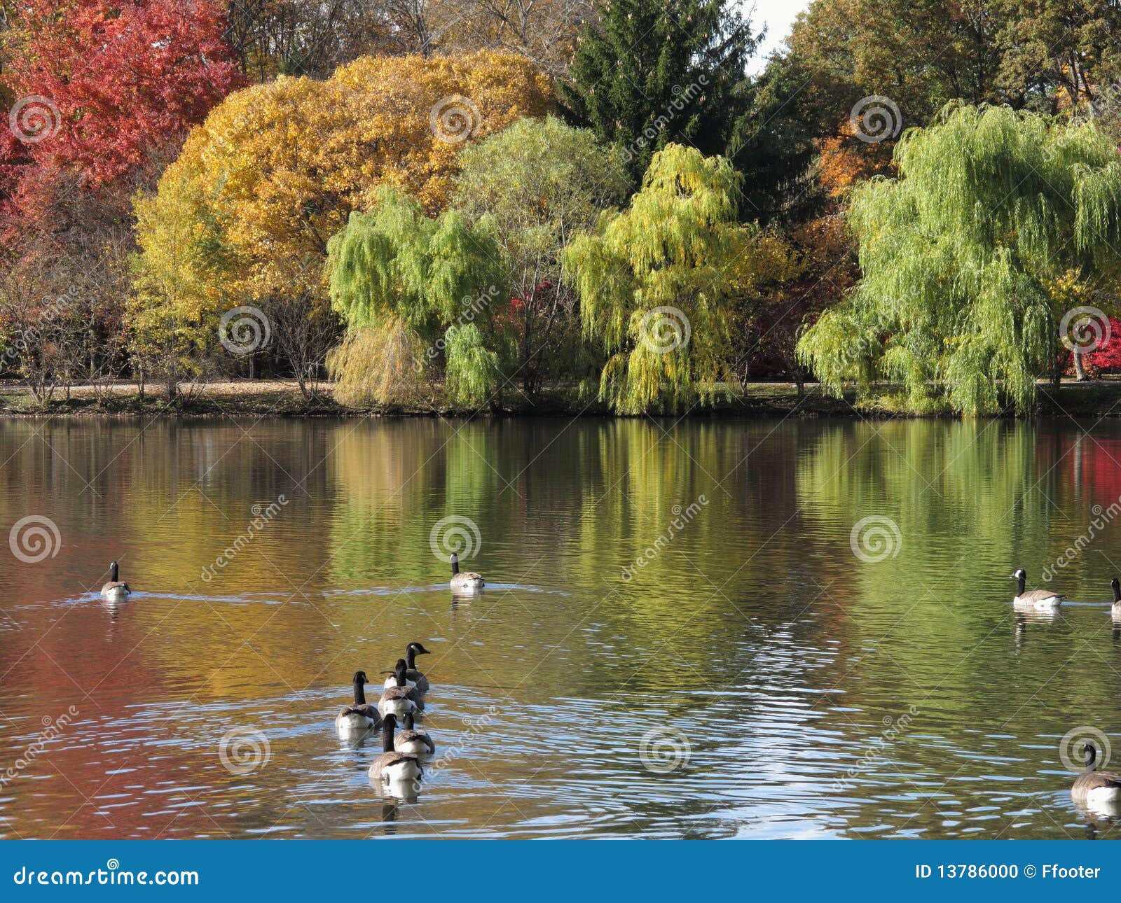 Fall Foliage and Pond stock photo. Image of canadian - 13786000