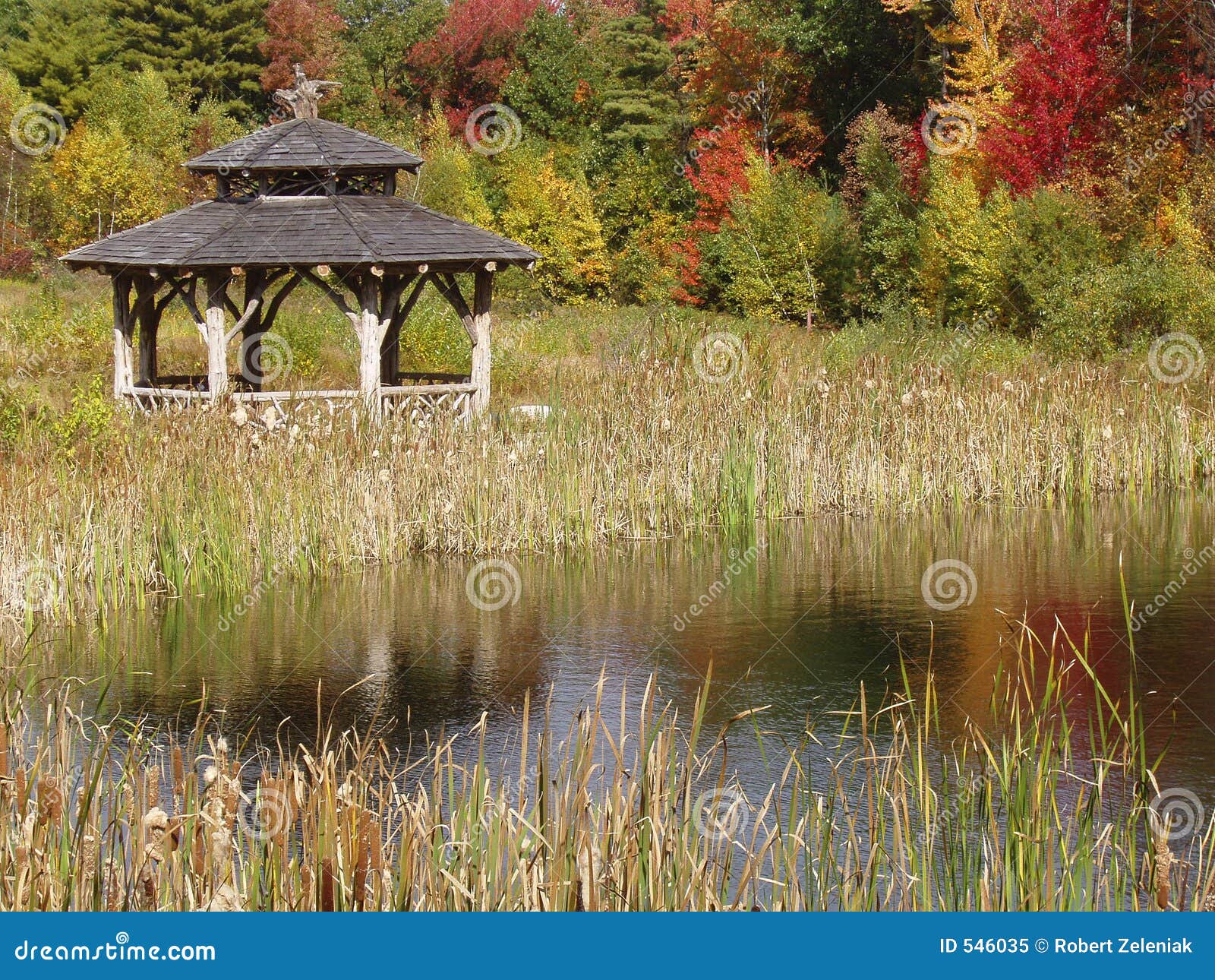 Fall foliage at pond stock image. Image of reflective, autumn - 546035