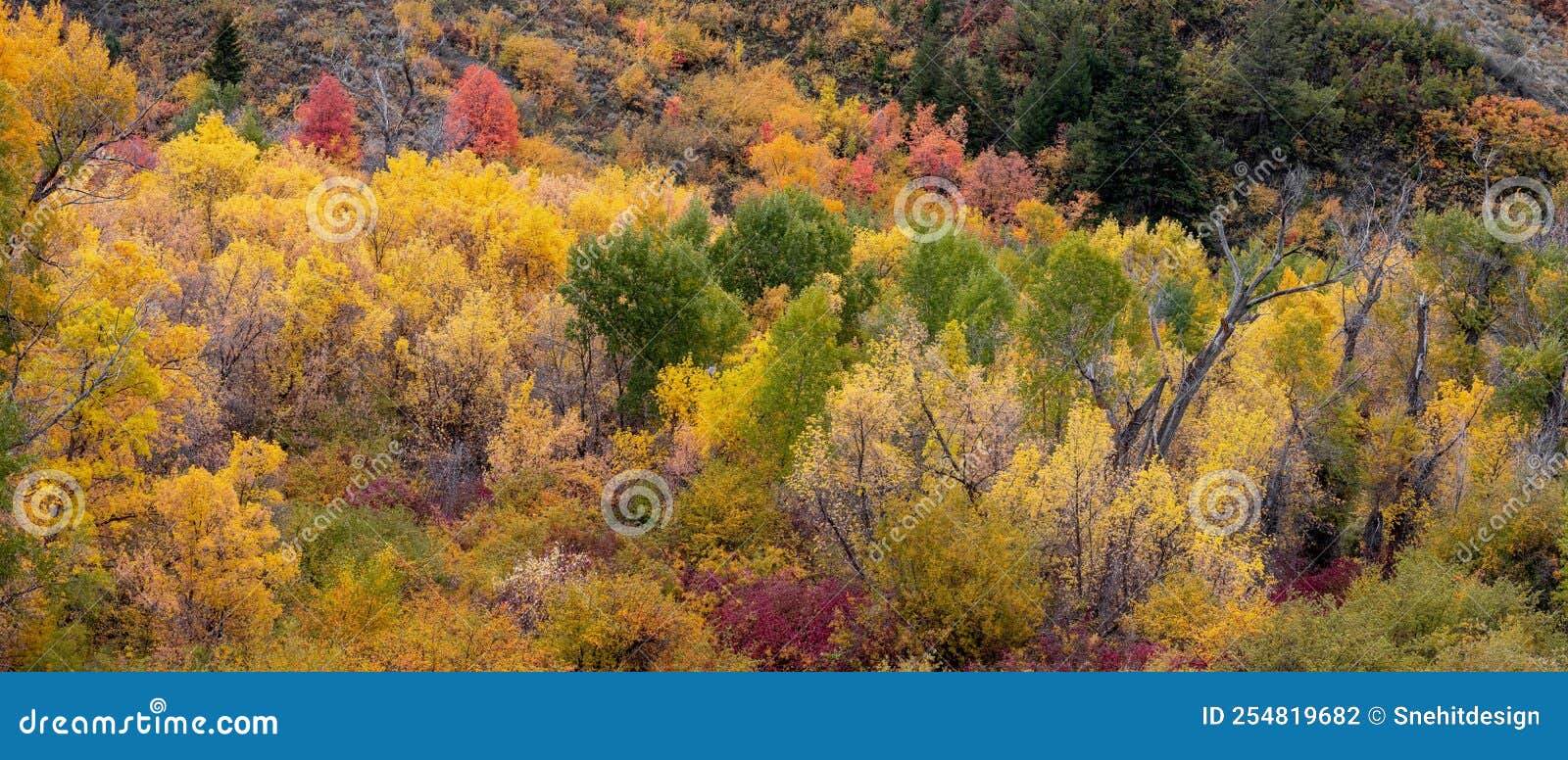 Fall Foliage at Provo Canyon in Utah Stock Photo - Image of canyon ...