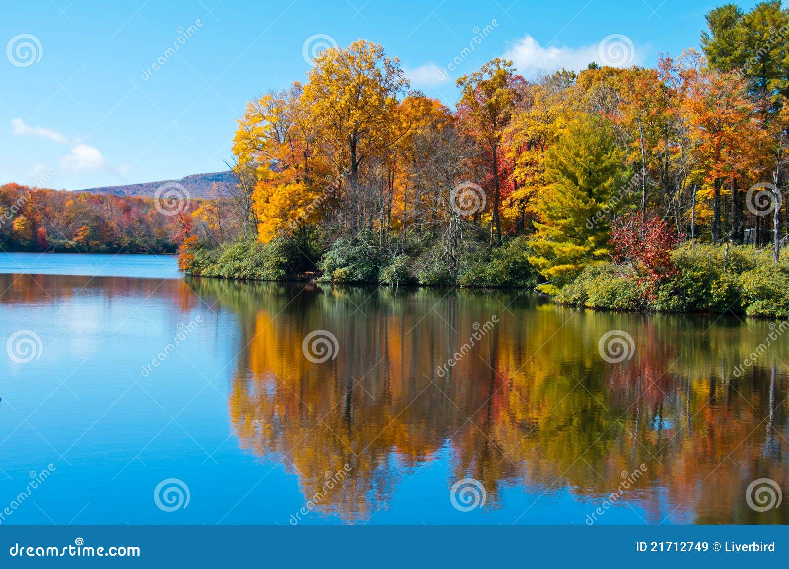 Fall Foliage Reflected in a Lake, Blue Ridge Pkwy. Stock Image - Image ...