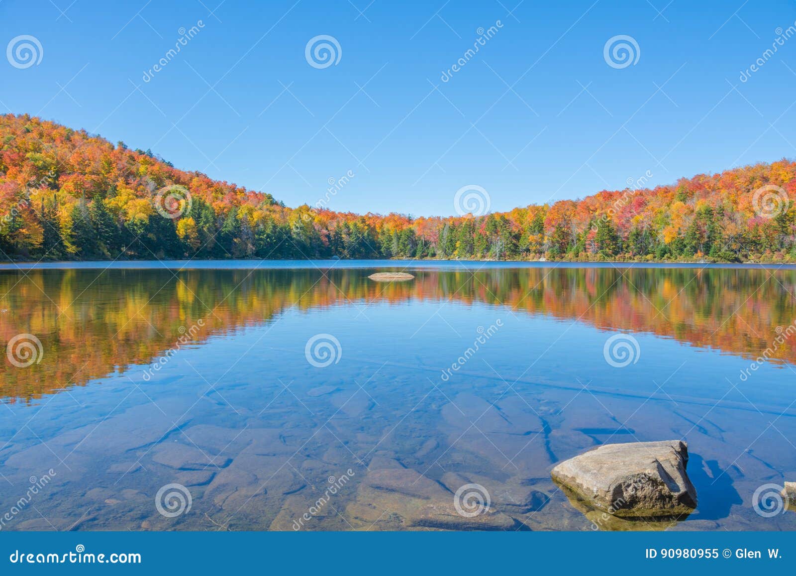 Fall Foliage Reflection on a Shallow Pond Stock Image - Image of pond ...