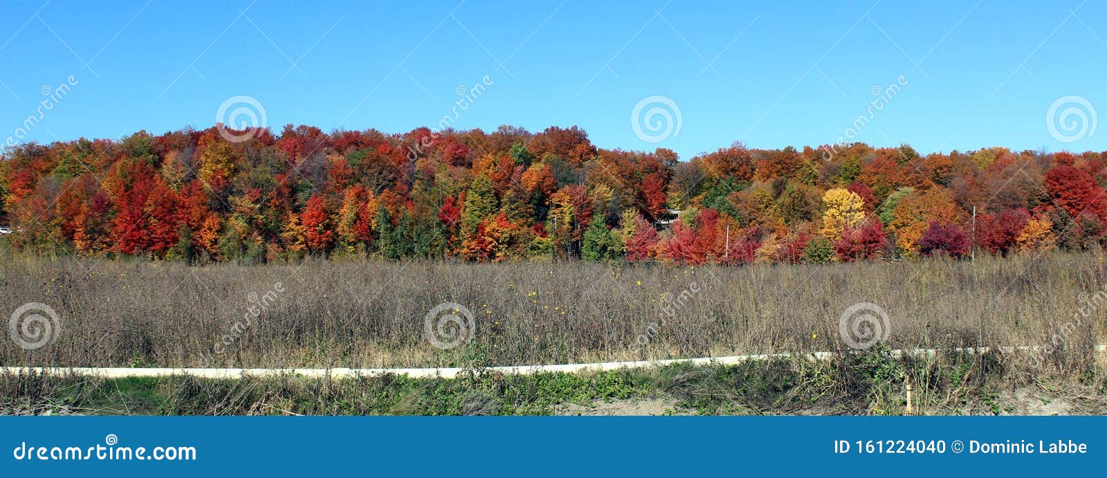 Fall foliage scene stock photo. Image of fall, scene - 161224040