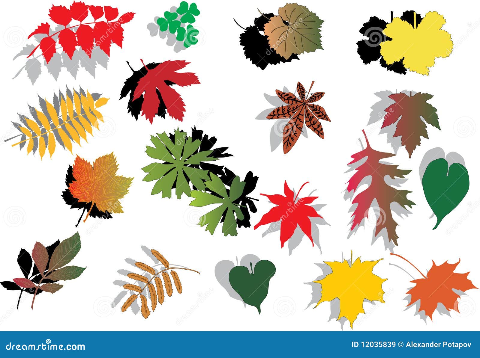 Fall foliage with shadows stock vector. Illustration of decoration ...