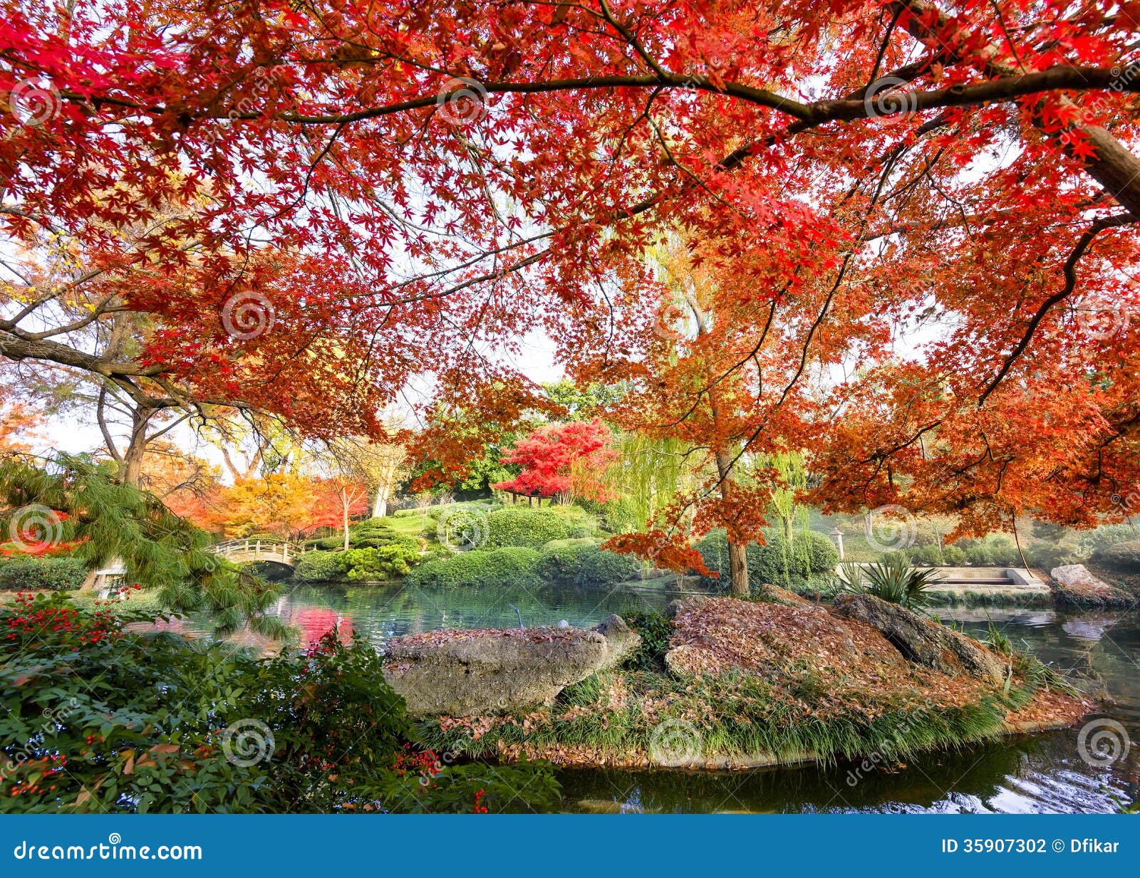 Fall Foliage in Texas stock photo. Image of water, autumn - 35907302