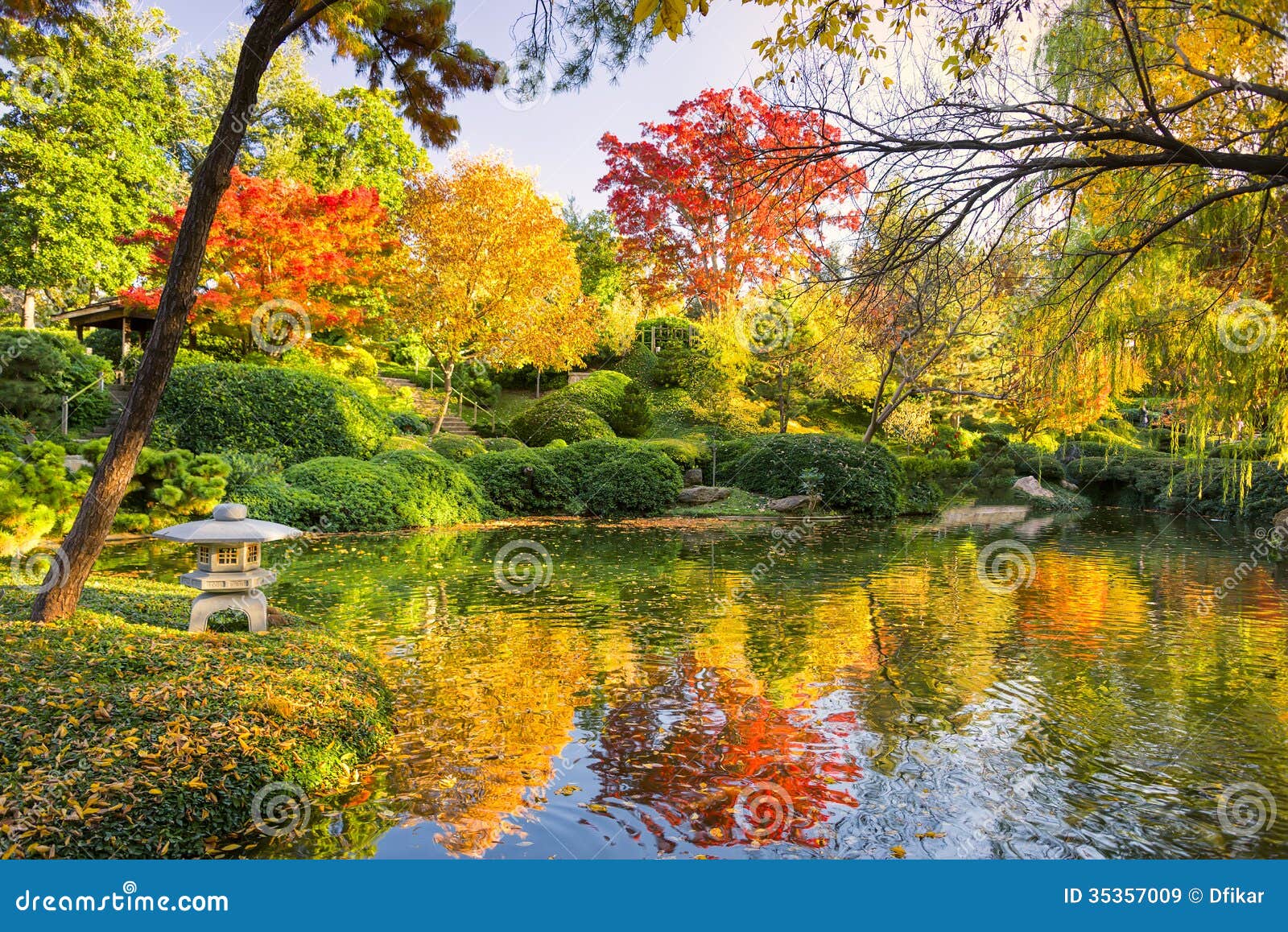 Fall Foliage in Texas stock image. Image of bushes, stairs - 35357009