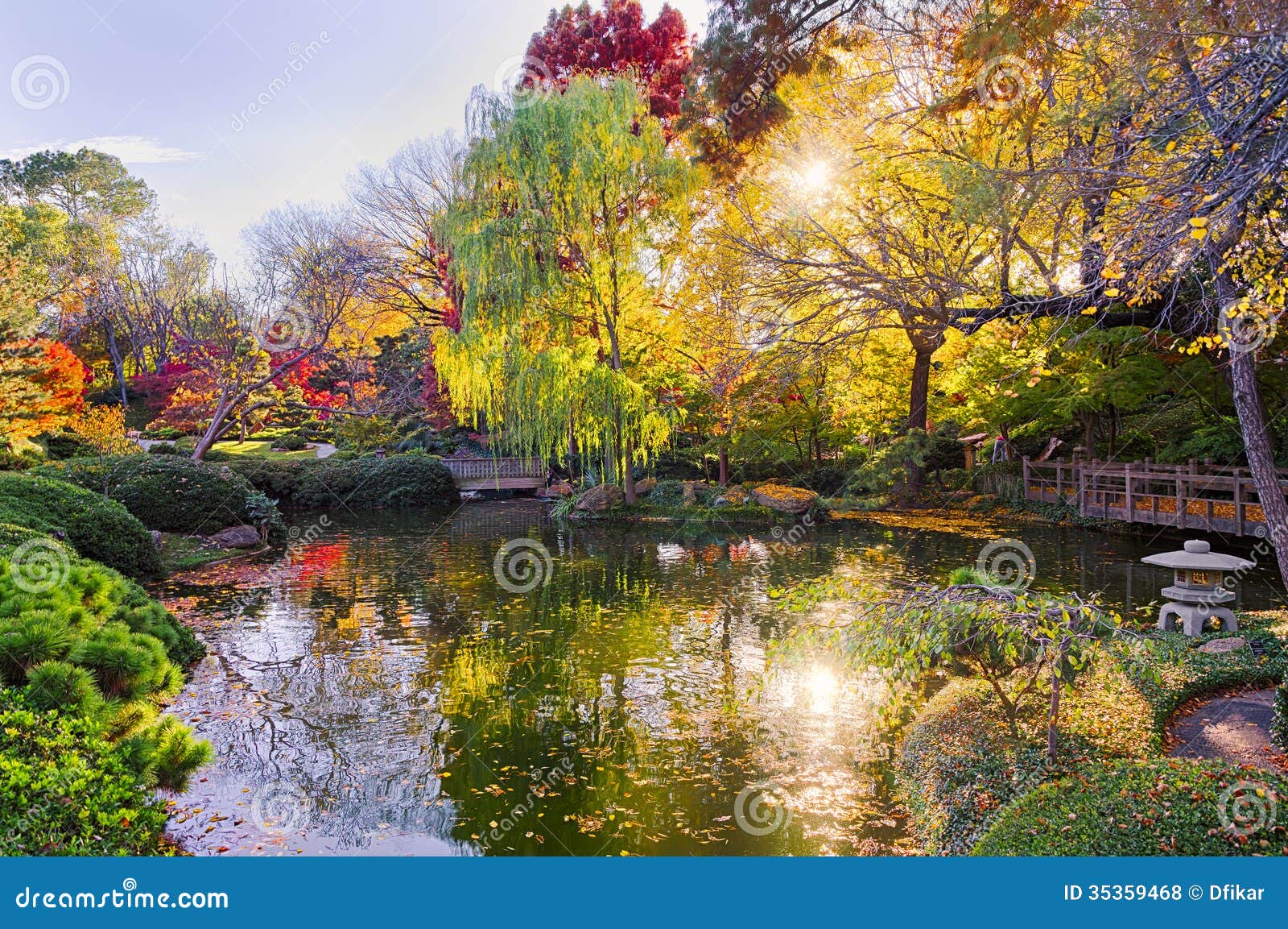 Fall Foliage in Texas stock photo. Image of pagoda, fall - 35359468