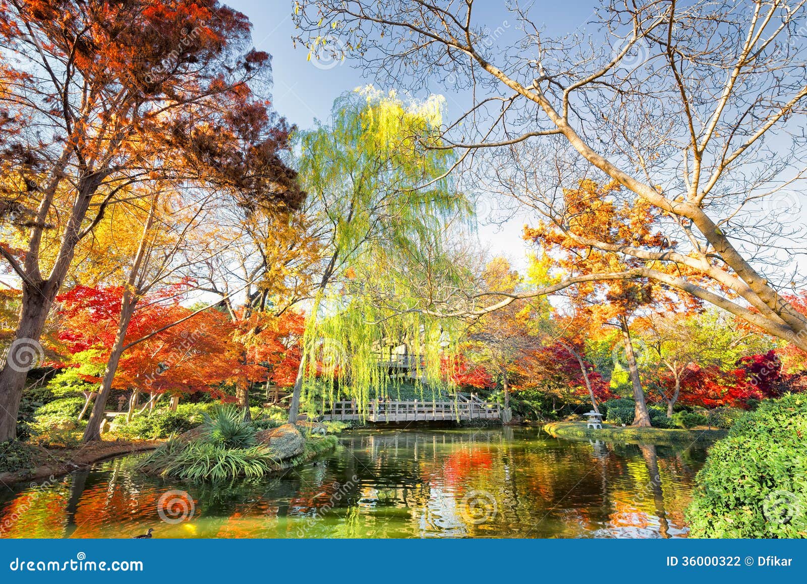 Fall Foliage in Texas stock photo. Image of lake, yukimi - 36000322