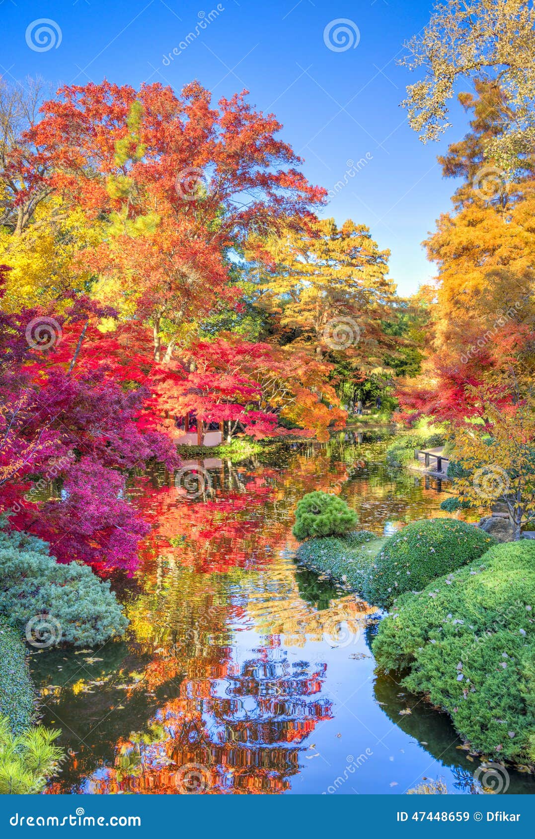Fall Foliage in Texas stock image. Image of texas, sunny - 47448659