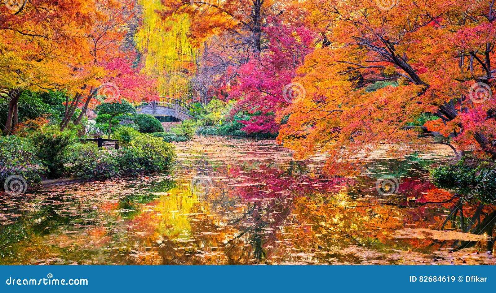 Fall Foliage in Texas stock image. Image of reflections - 82684619