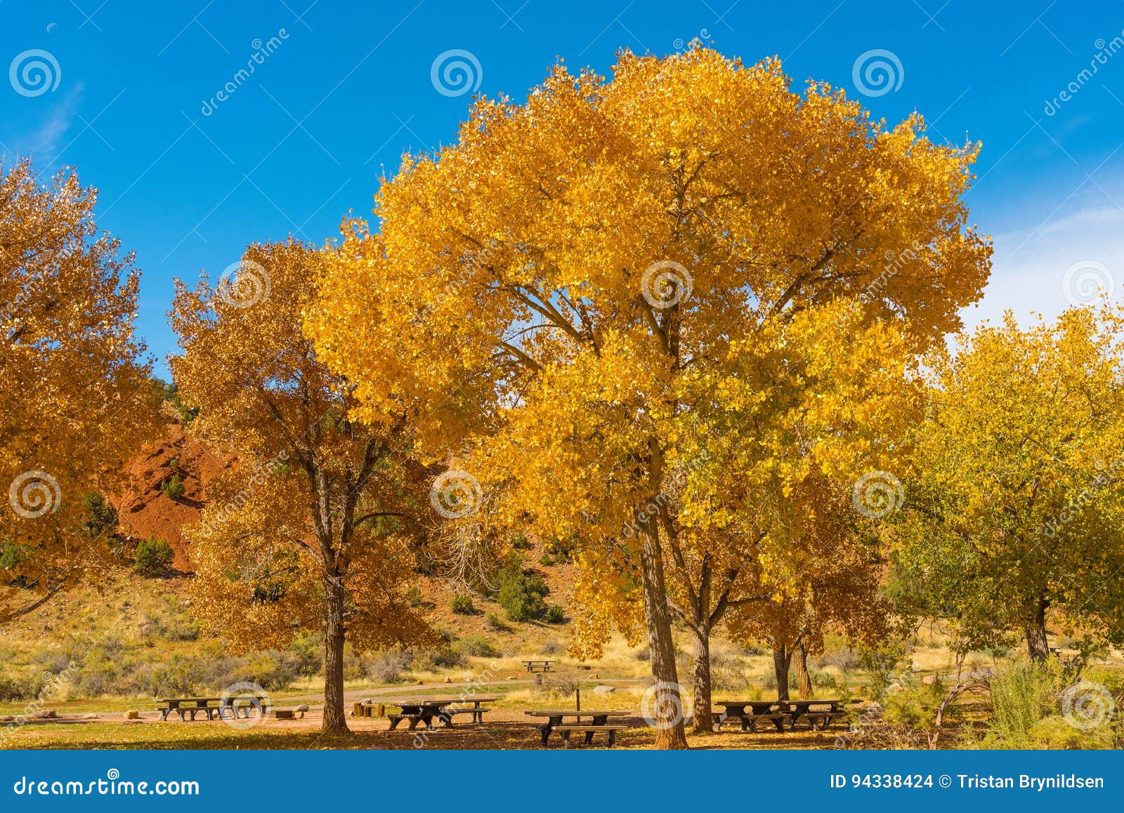 Fall foliage in Utah stock photo. Image of fall, monument - 94338424