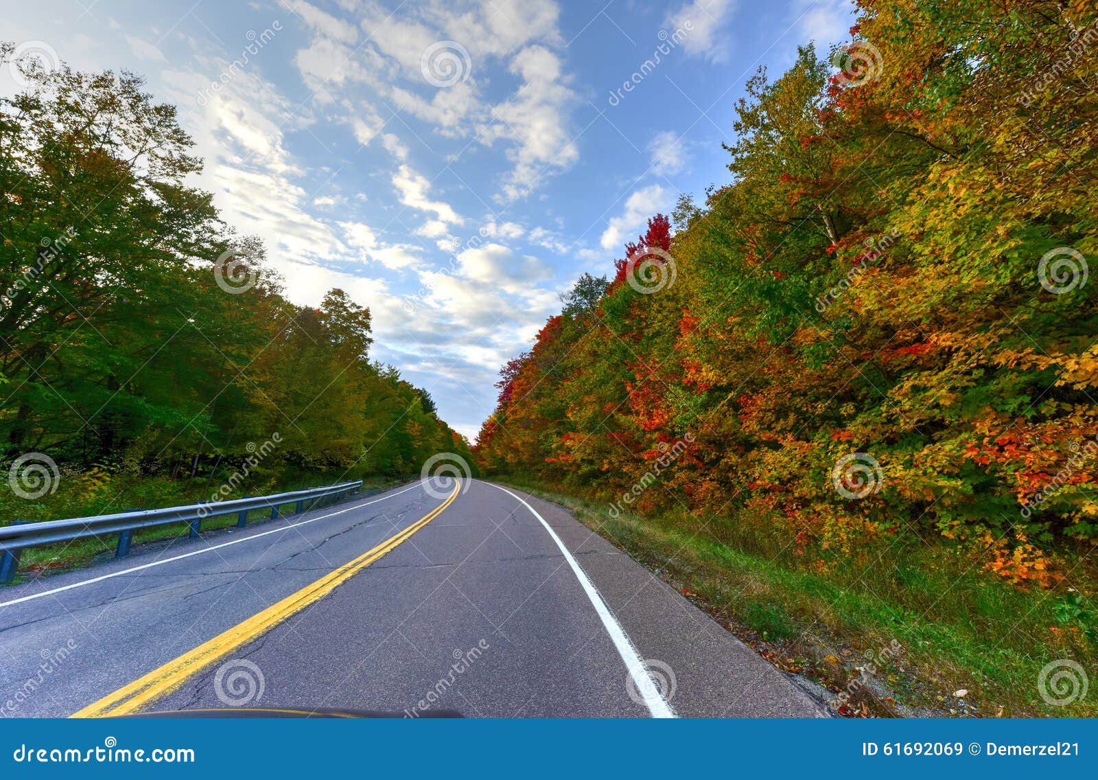 Fall Foliage Vermont stock image. Image of yellow, tree - 61692069