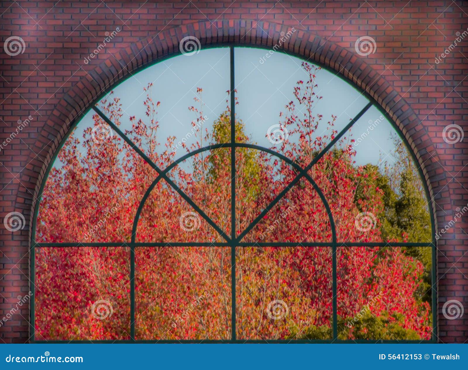 Fall Foliage Window stock image. Image of nature, hard - 56412153