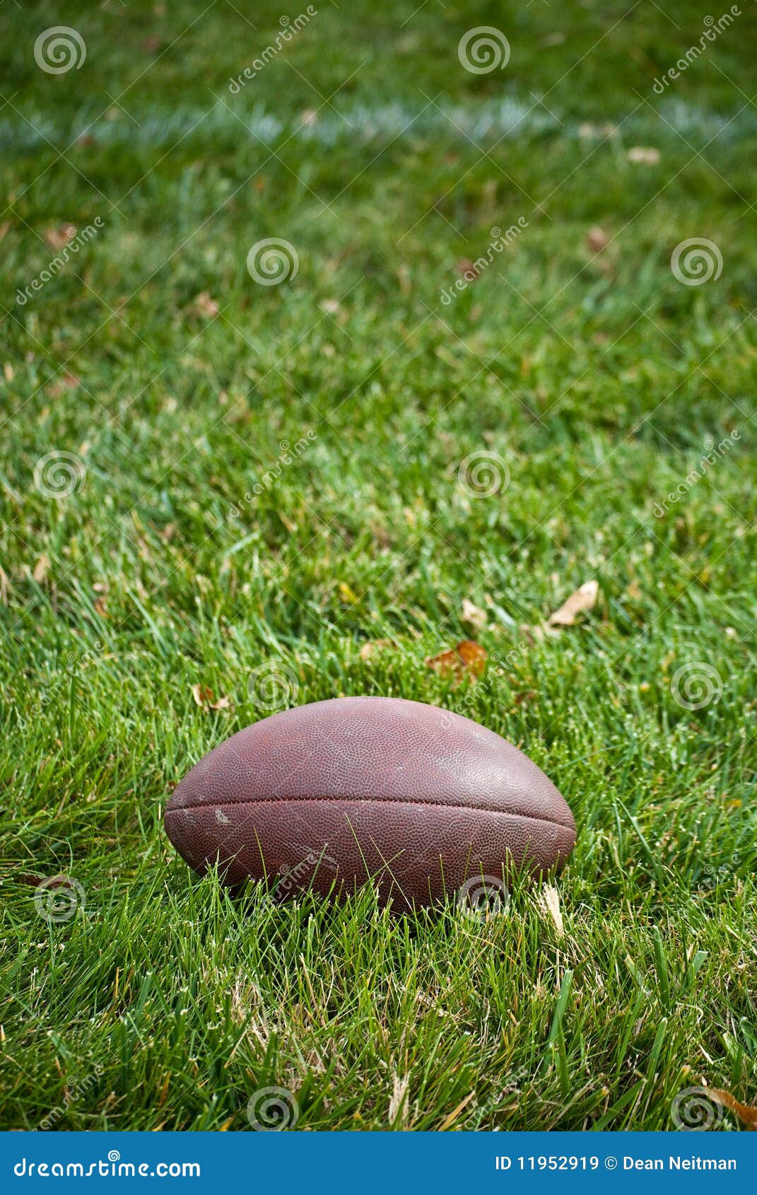 Fall Football stock image. Image of grass, athletics - 11952919