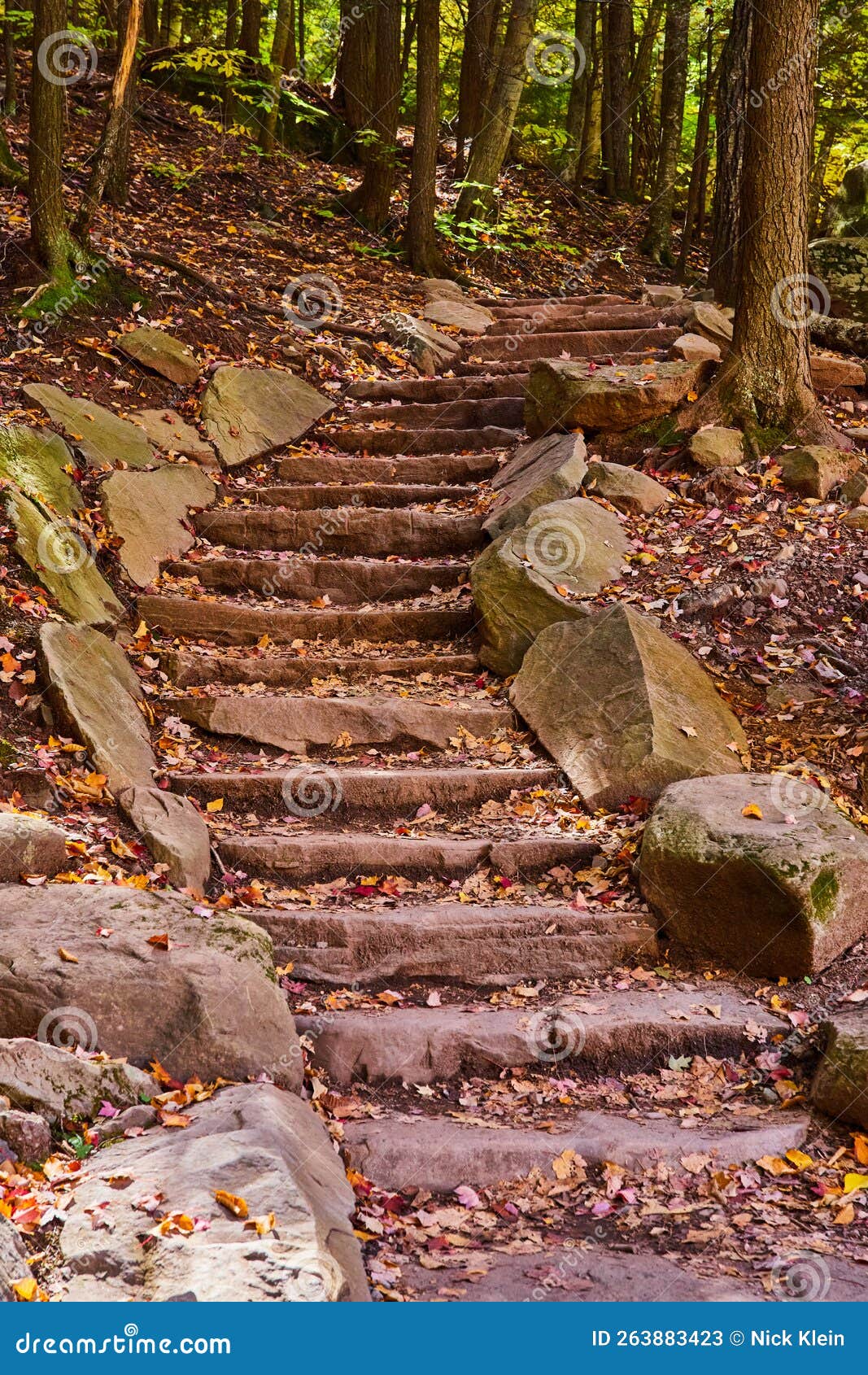 Fall Forest Hiking Trail Staircase Lined with Stone Rocks Winding Up ...