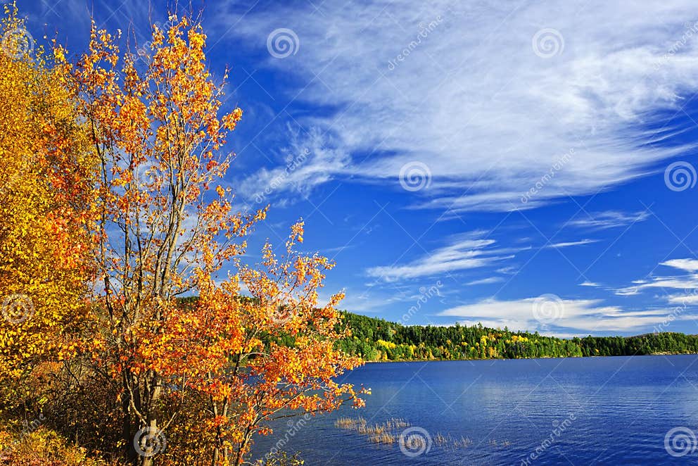 Fall forest and lake stock image. Image of scenery, outdoor - 21118919