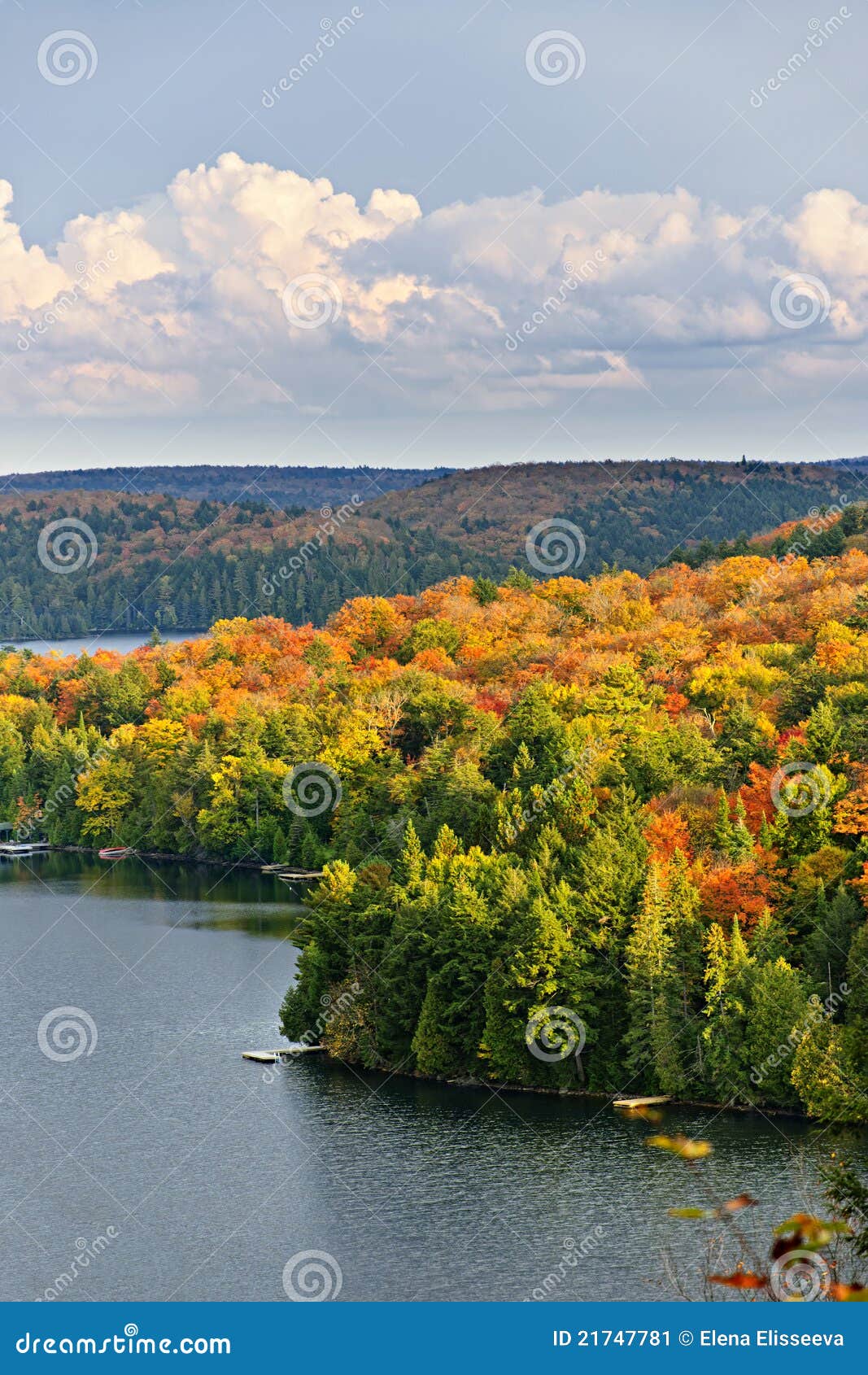 Fall forest and lake stock image. Image of orange, bright - 21747781