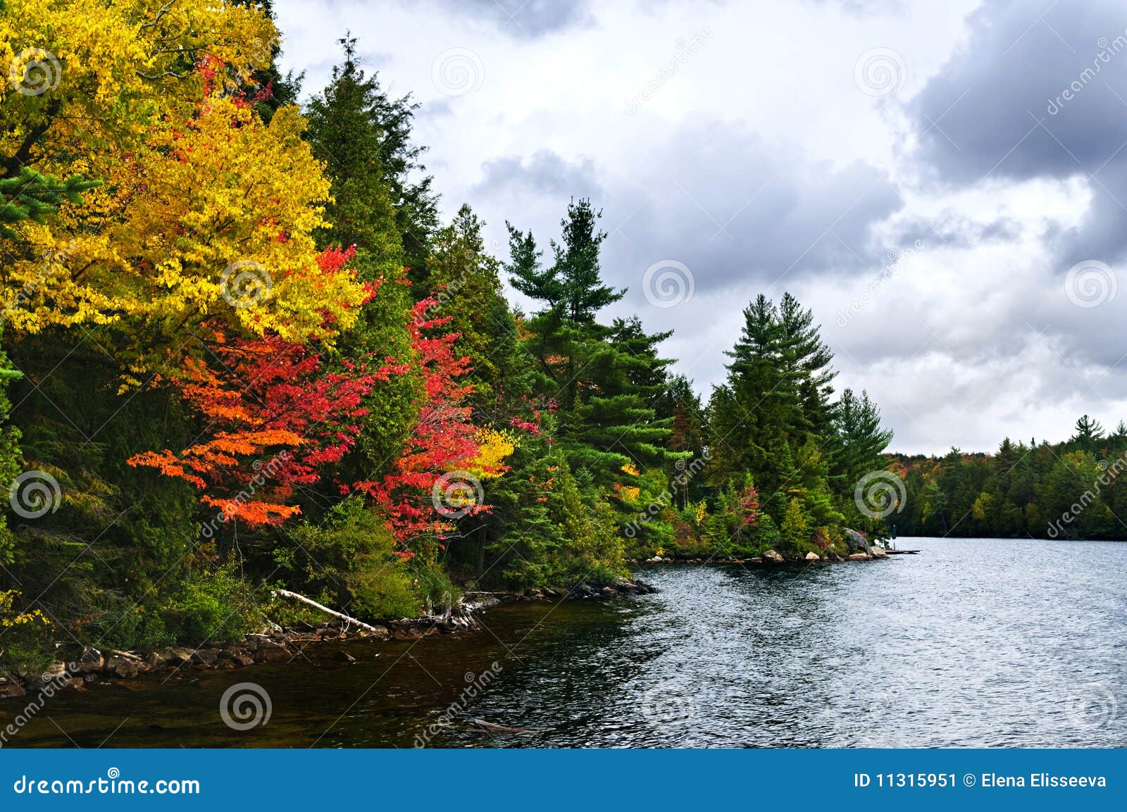 Fall forest and lake shore stock image. Image of cloudy - 11315951