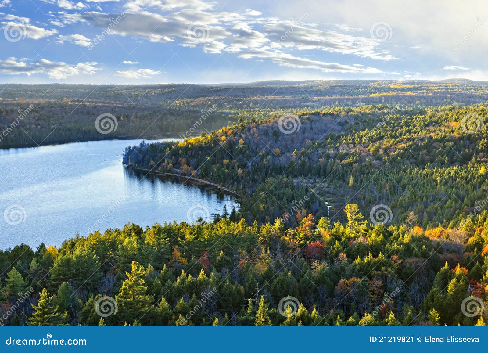 Fall Forest and Lake Top View Stock Image - Image of natural, evergreen ...