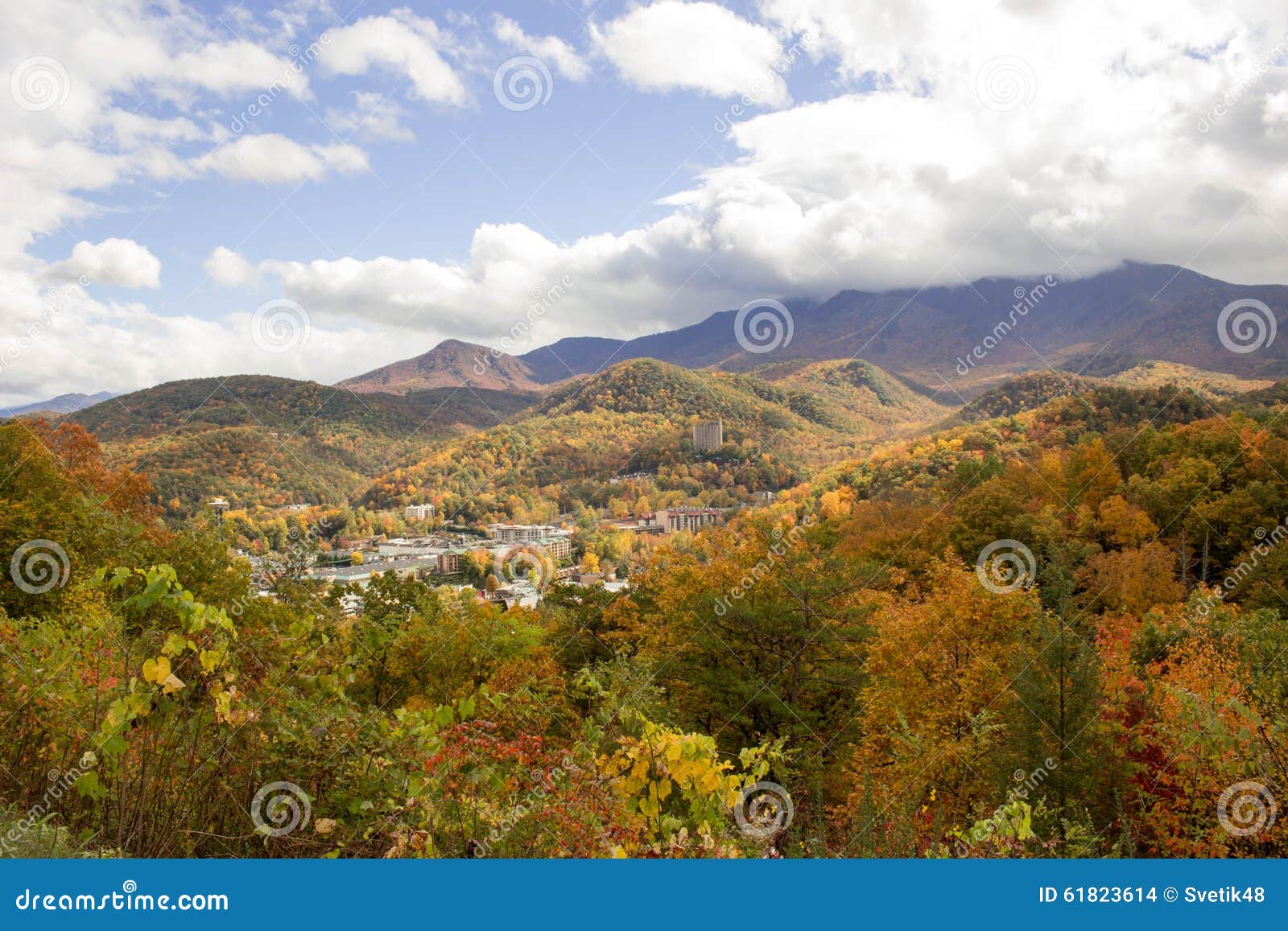 Fall forest and mountains stock photo. Image of maine - 61823614