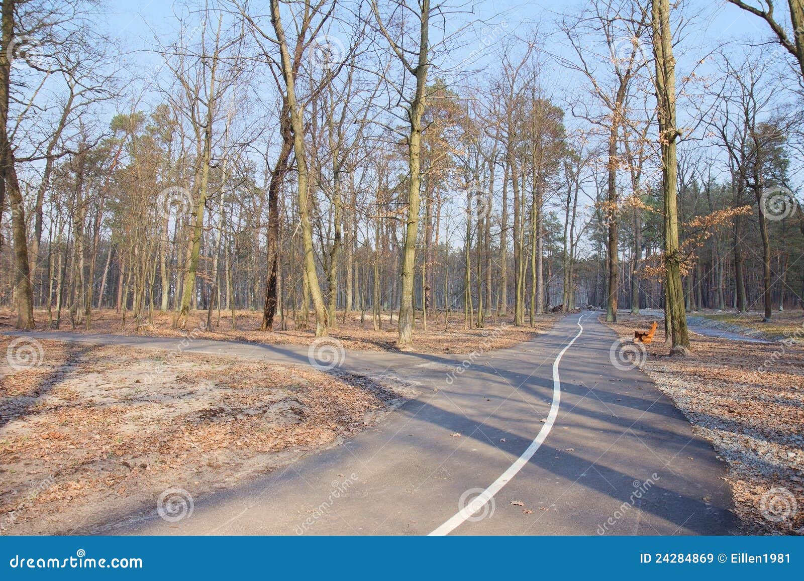 Fall in Forest - Park Road in Bucha, Ukraine Stock Image - Image of ...