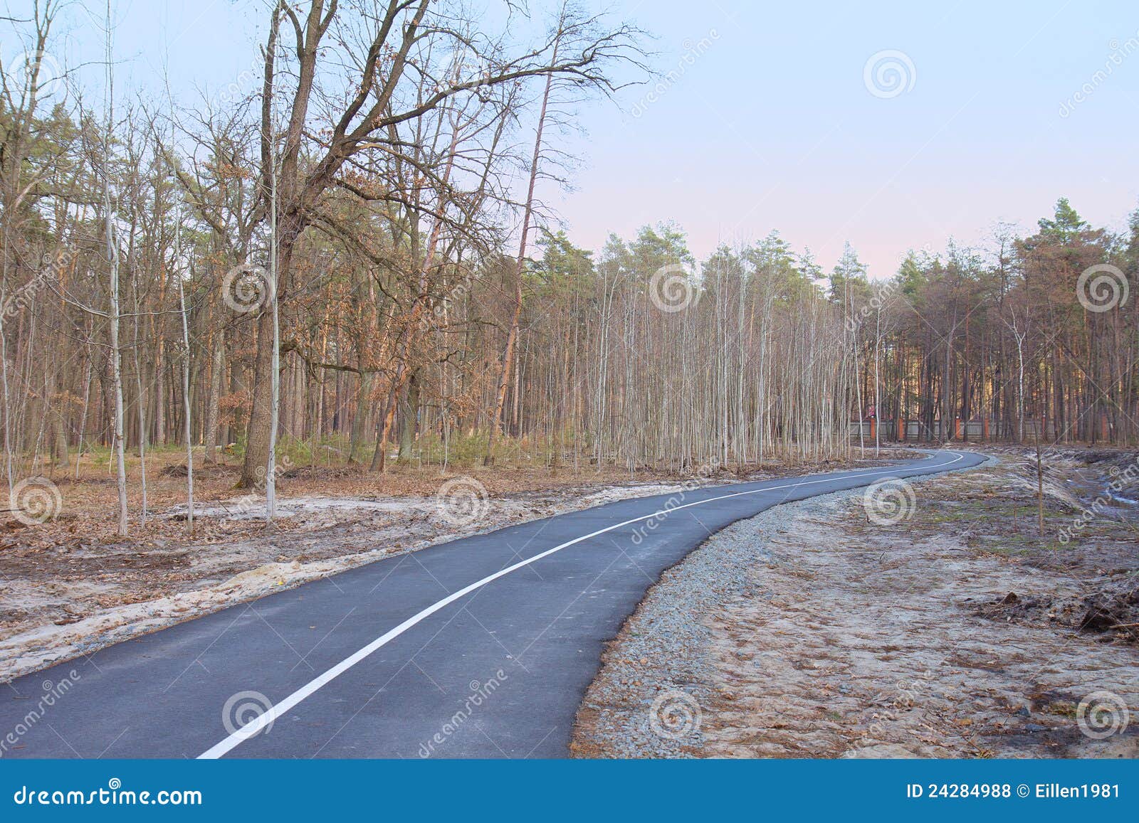Fall in Forest - Park Road in Bucha, Ukraine Stock Photo - Image of ...