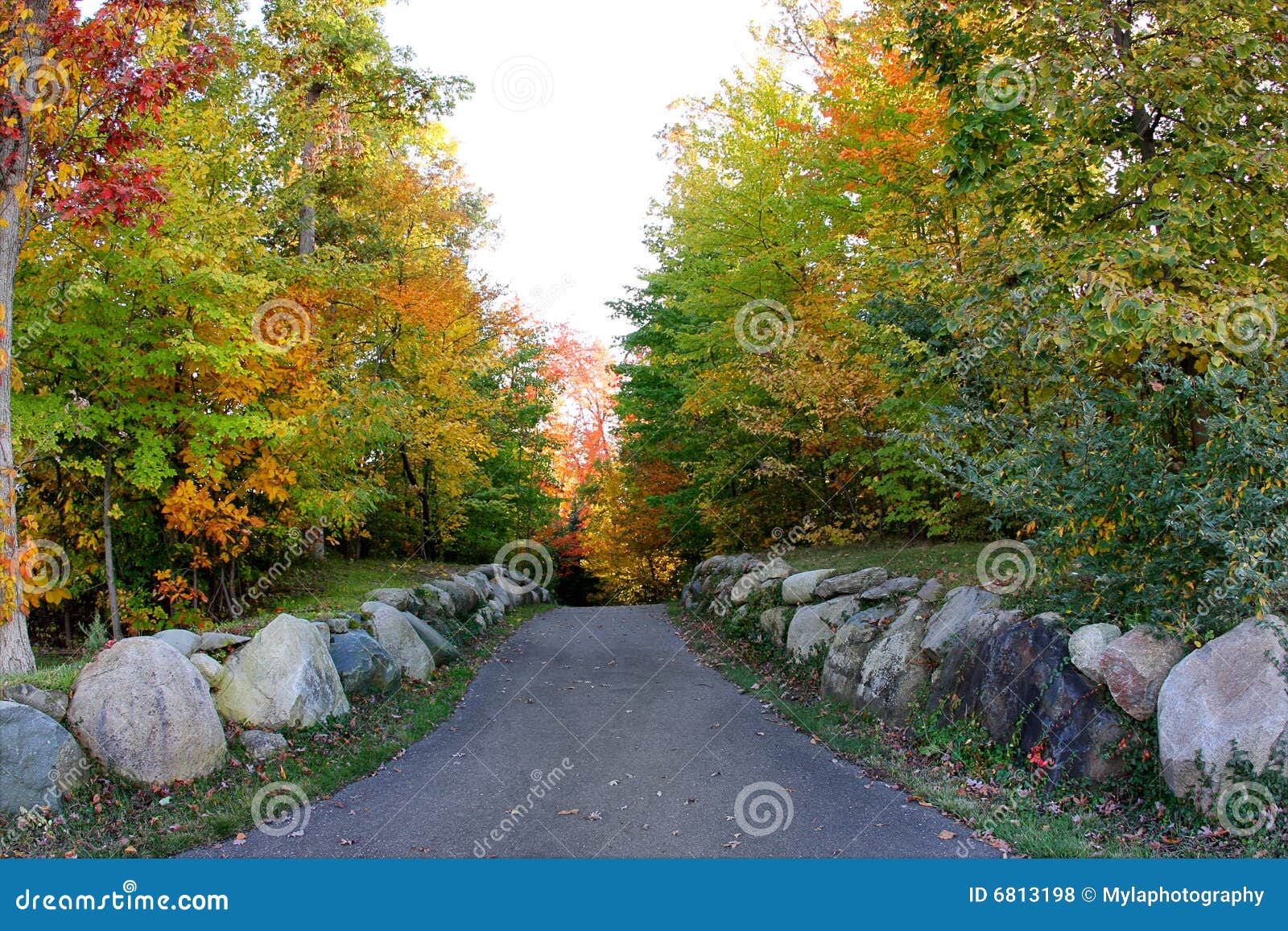 Fall forest path stock photo. Image of color, grass, park - 6813198