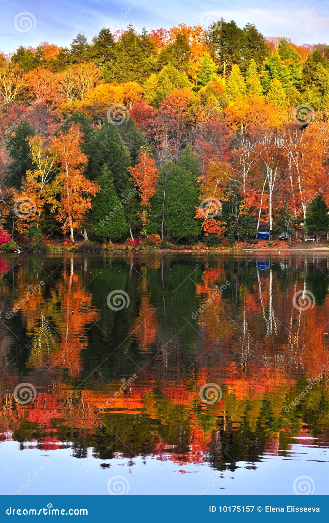 Fall forest reflections stock image. Image of autumn - 10175157