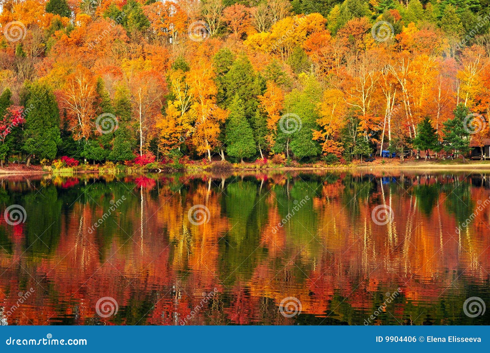 Fall forest reflections stock photo. Image of foliage - 9904406