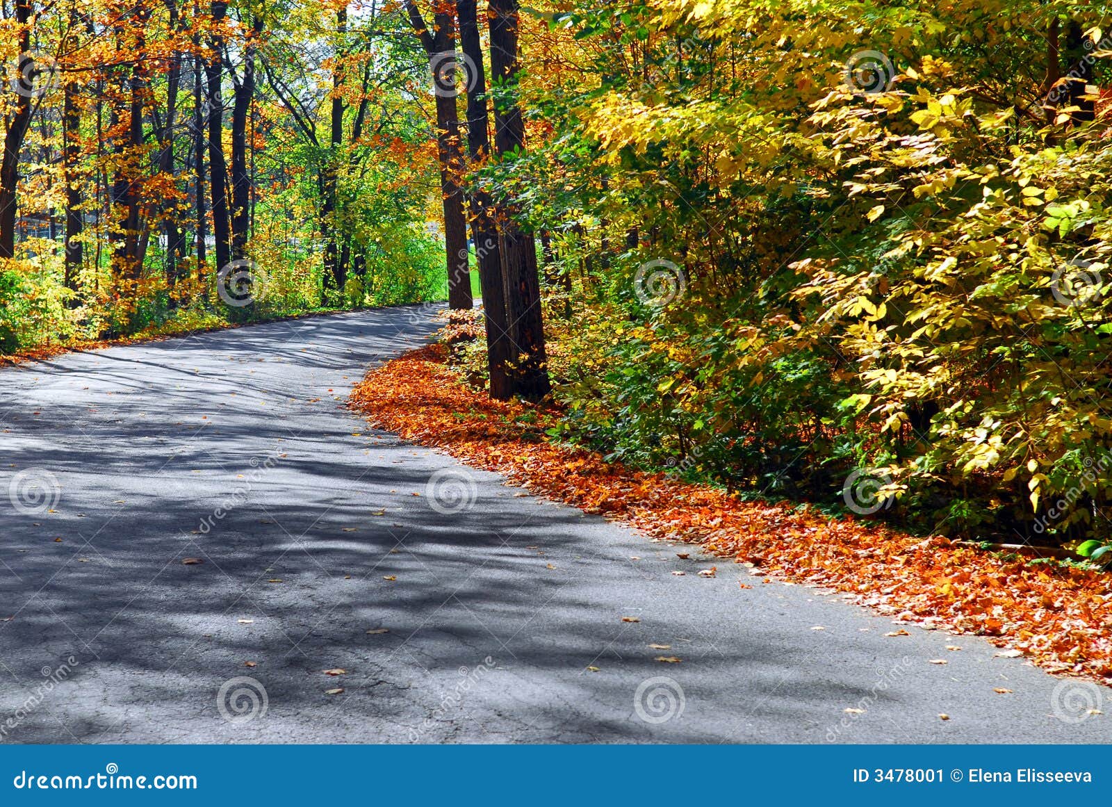 Fall forest road stock image. Image of light, park, leaves - 3478001