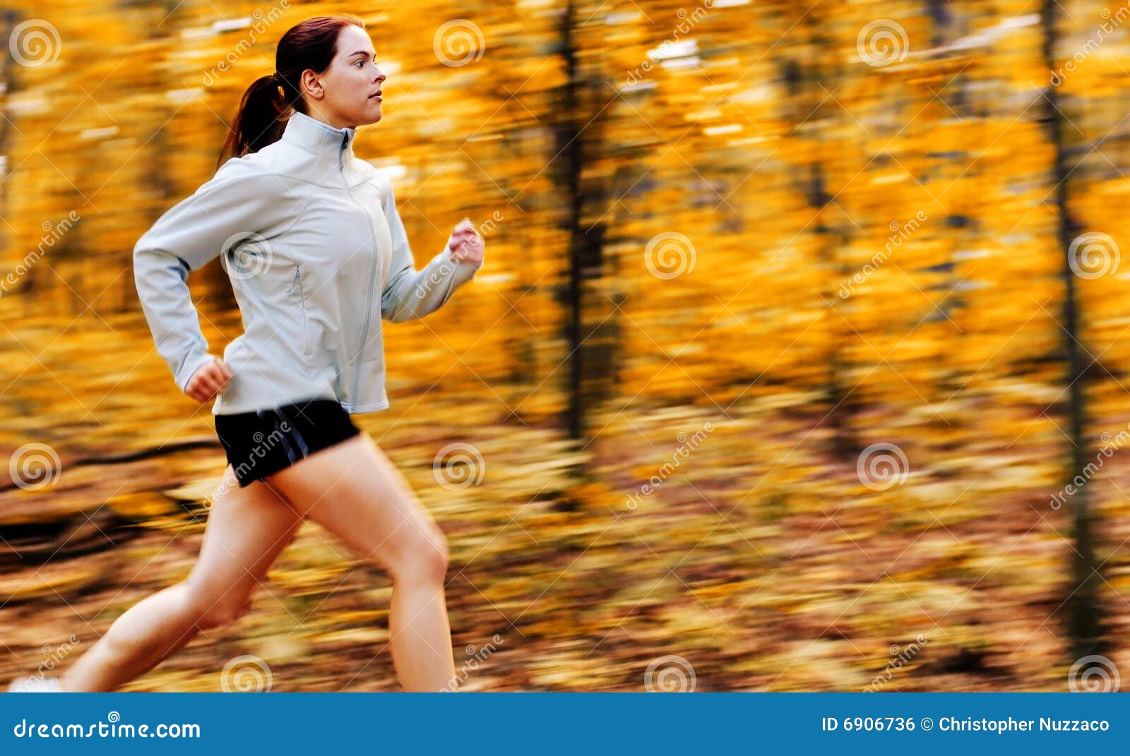 Fall Forest Runner stock photo. Image of fitness, motion - 6906736