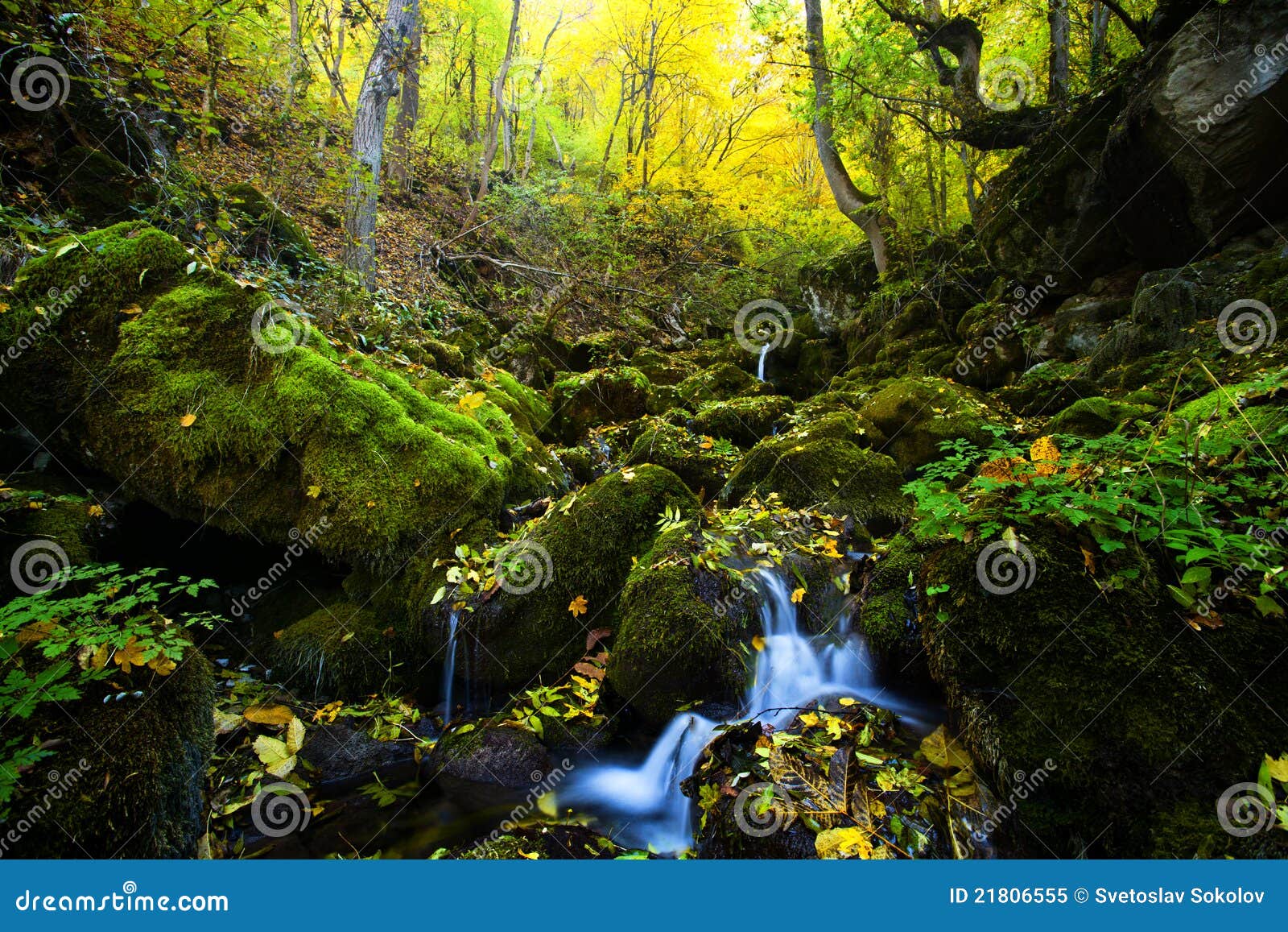 Fall forest stream stock image. Image of autumn, leaf - 21806555