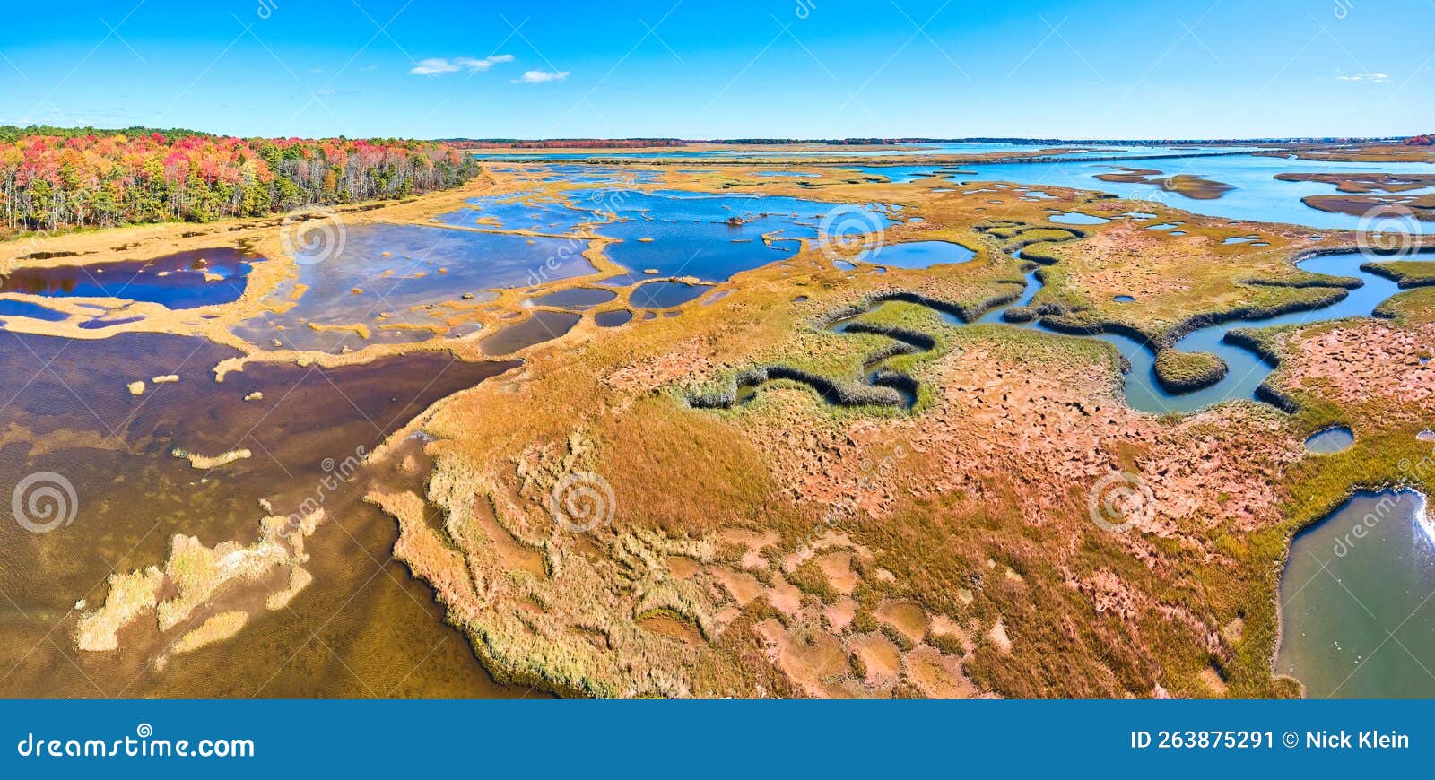 Fall Forest Surround Marshes of Maine with Winding Creeks Stock Image ...